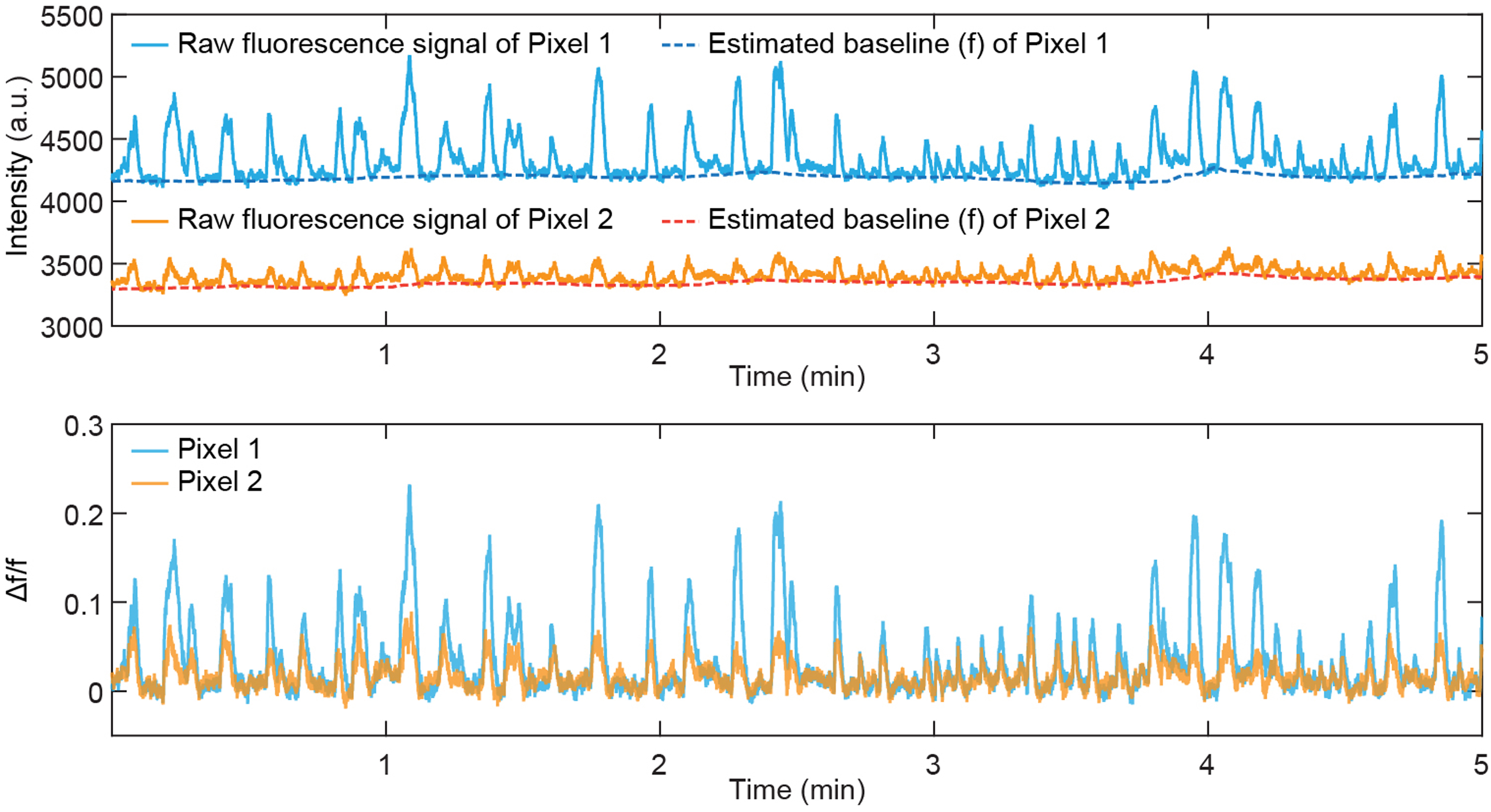 Cell Press: STAR Protocols
