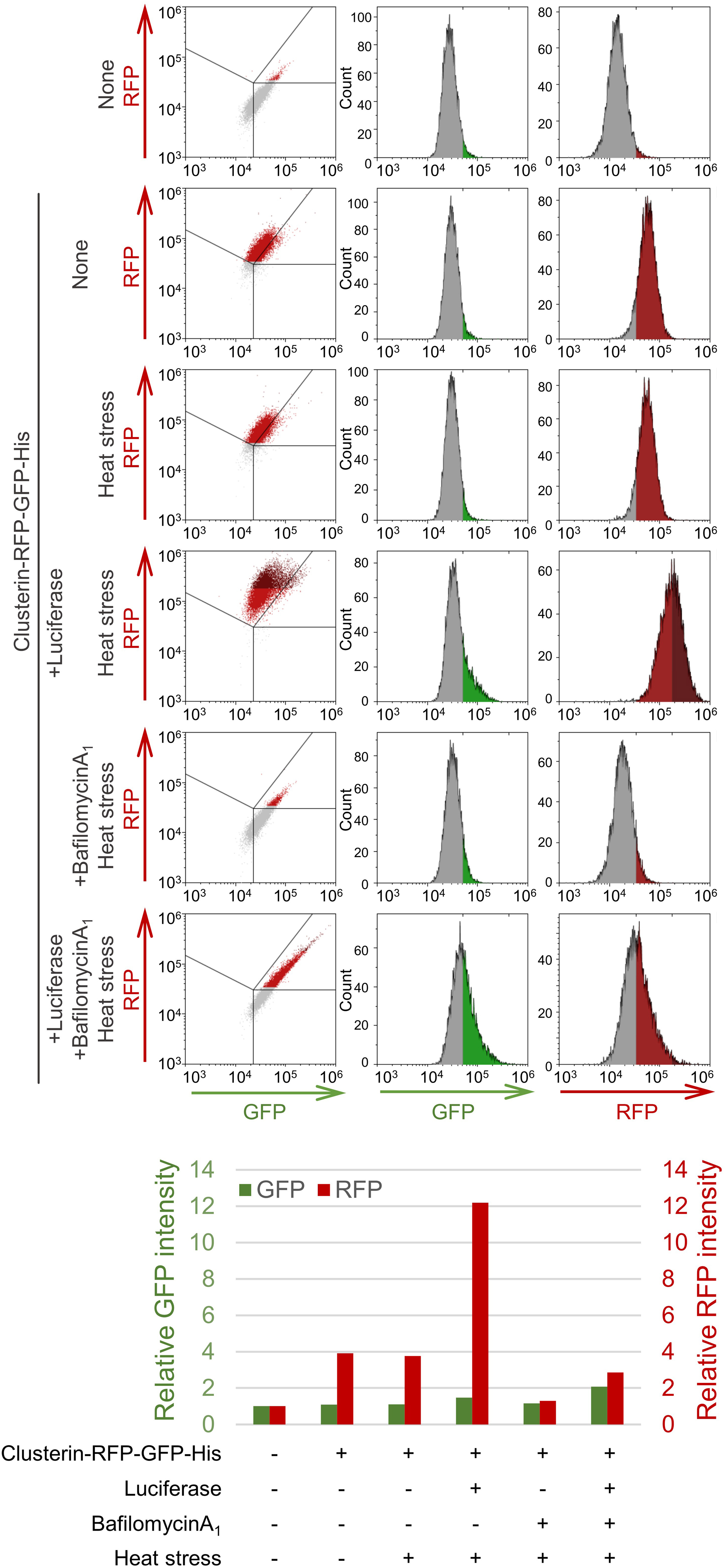 Cell Press: STAR Protocols