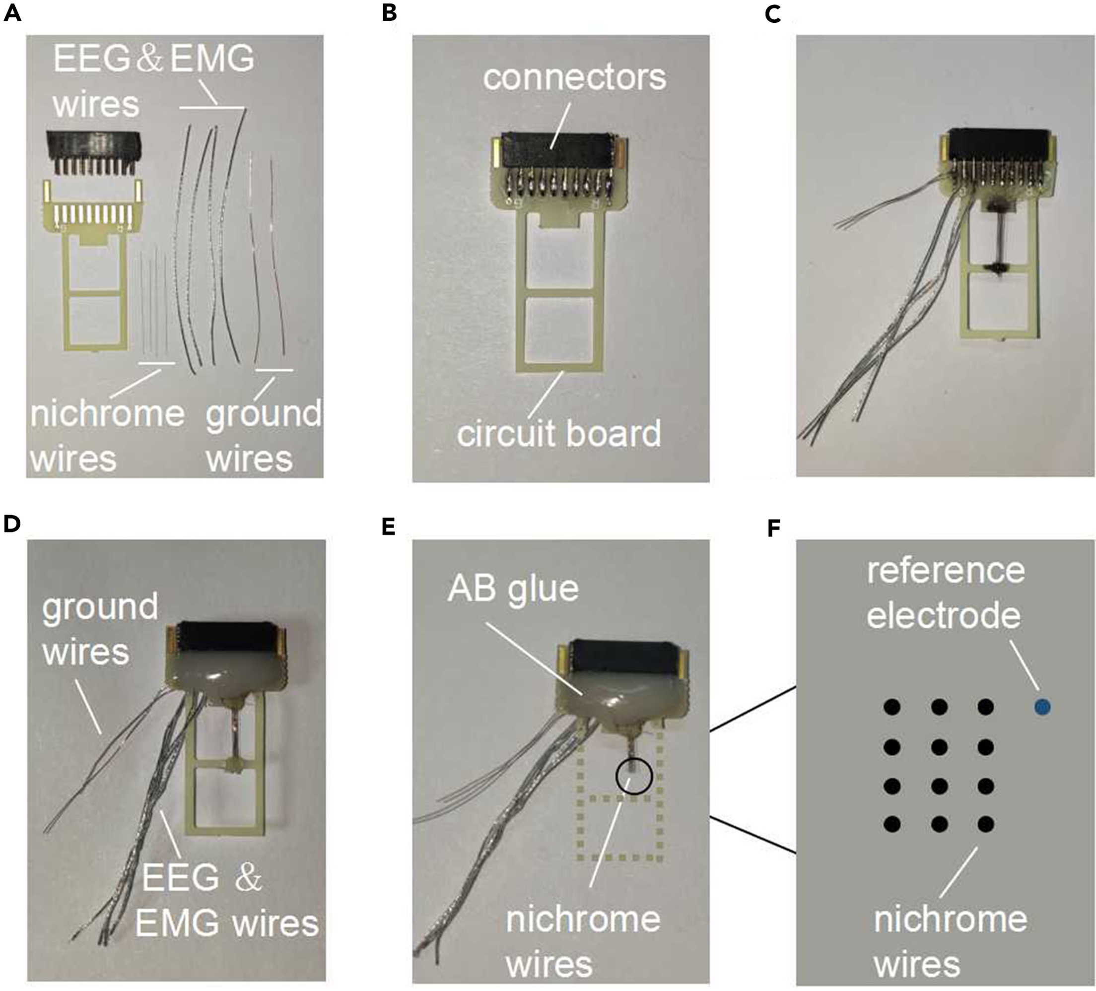 Cell Press: STAR Protocols