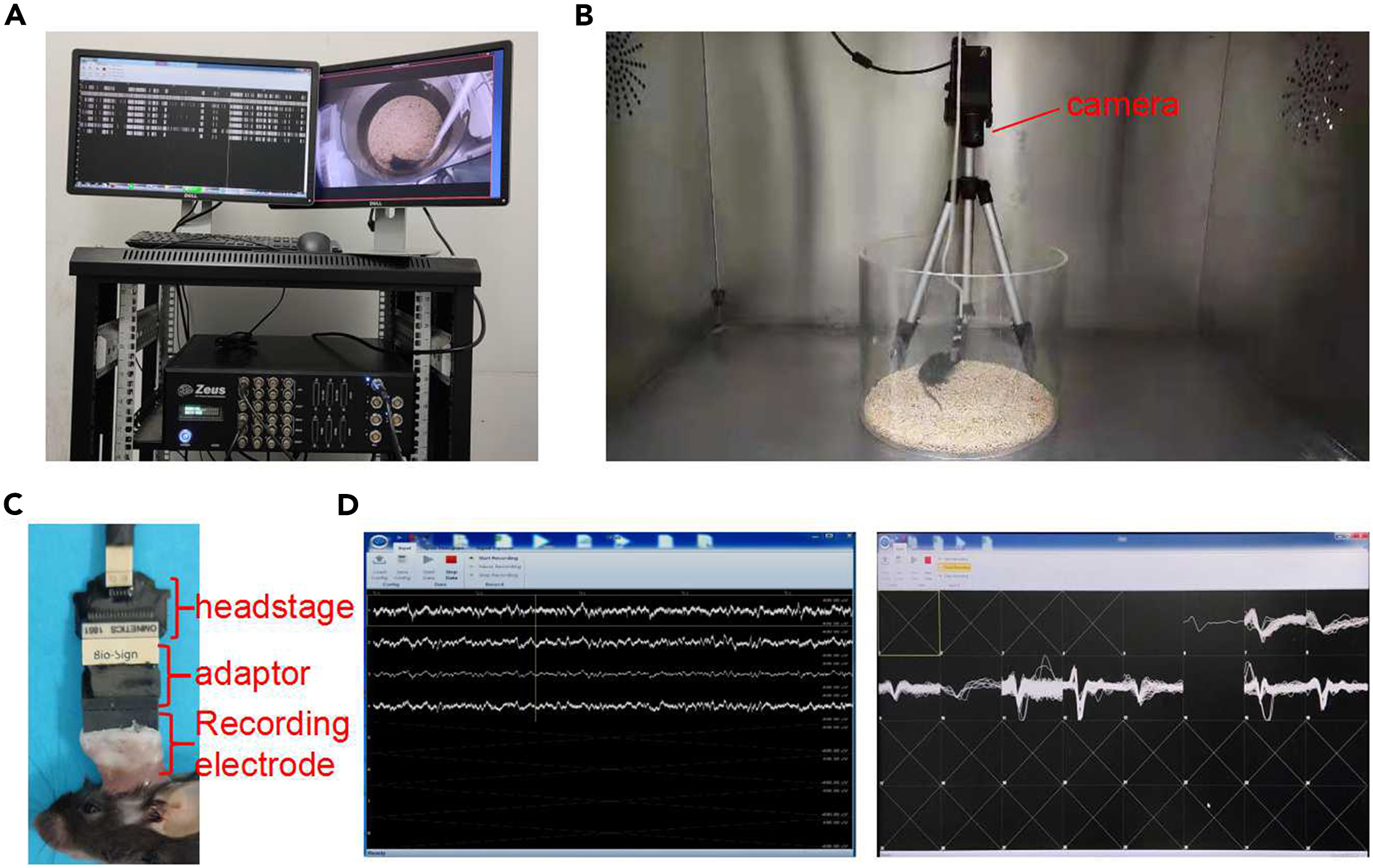 Cell Press: STAR Protocols
