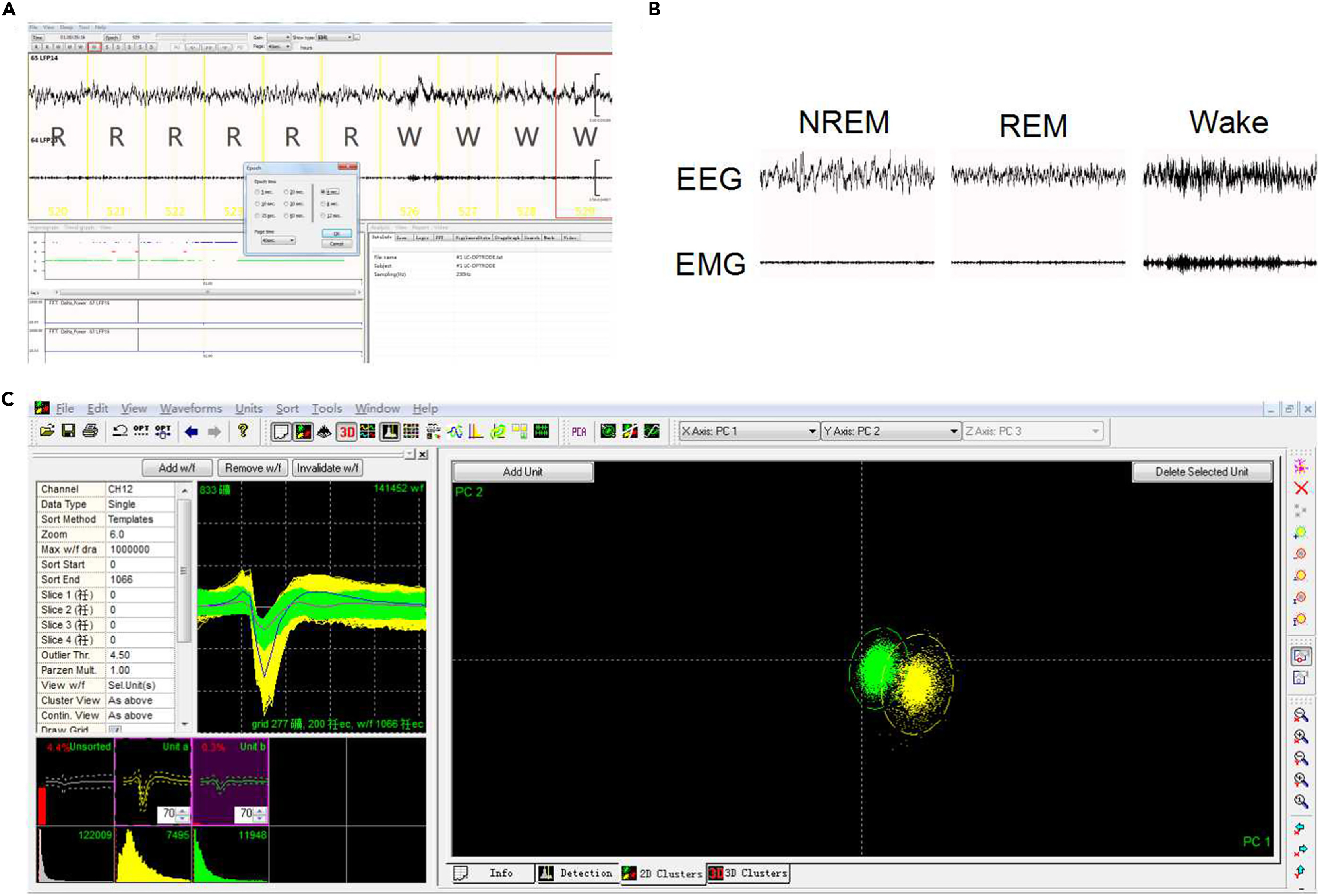Cell Press: STAR Protocols