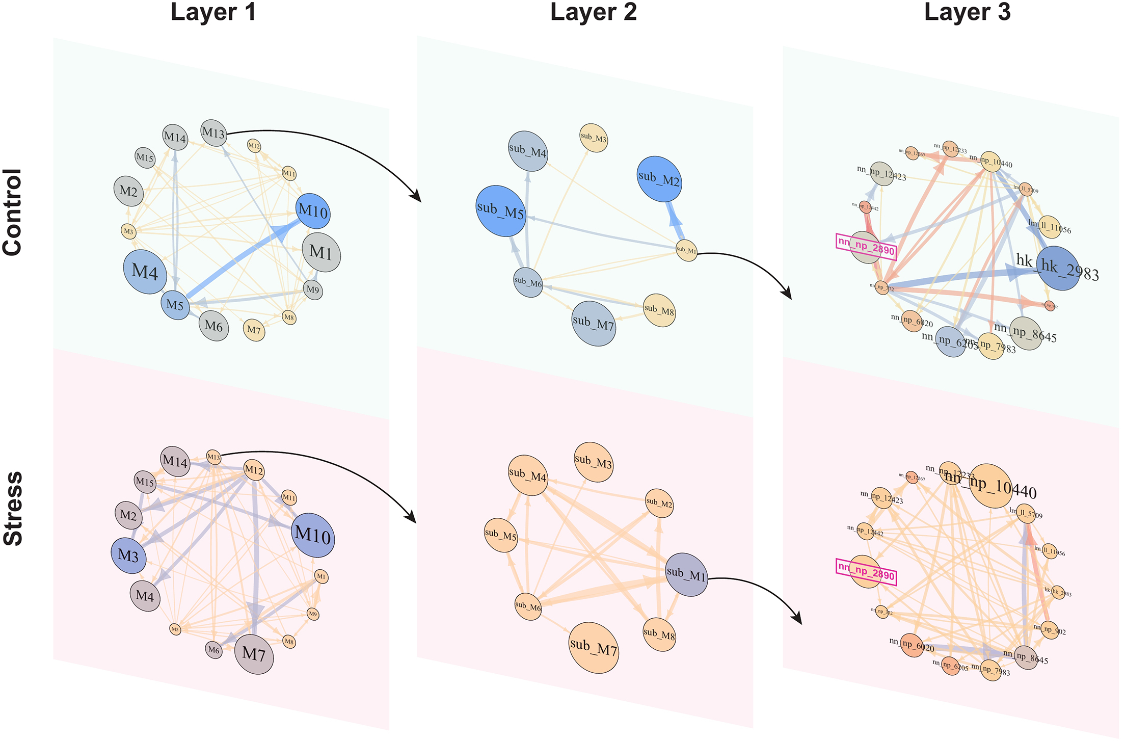 Cell Press: STAR Protocols