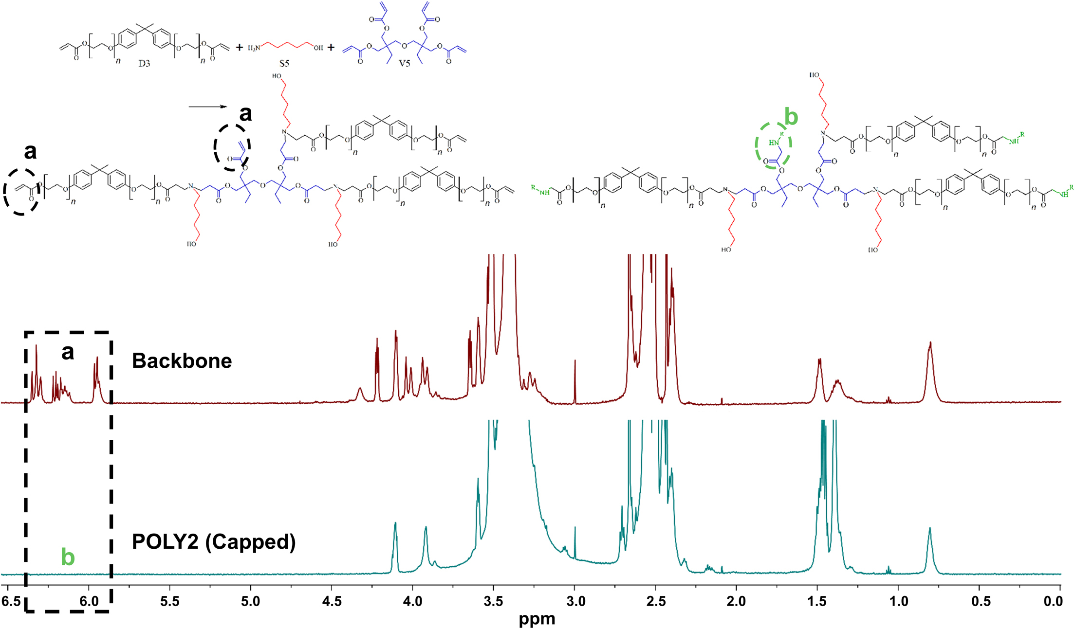 Cell Press: STAR Protocols