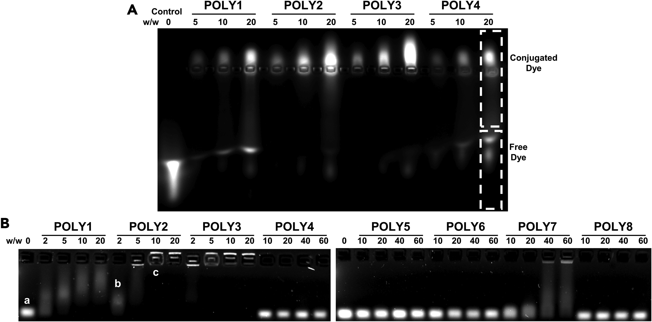 Cell Press: STAR Protocols