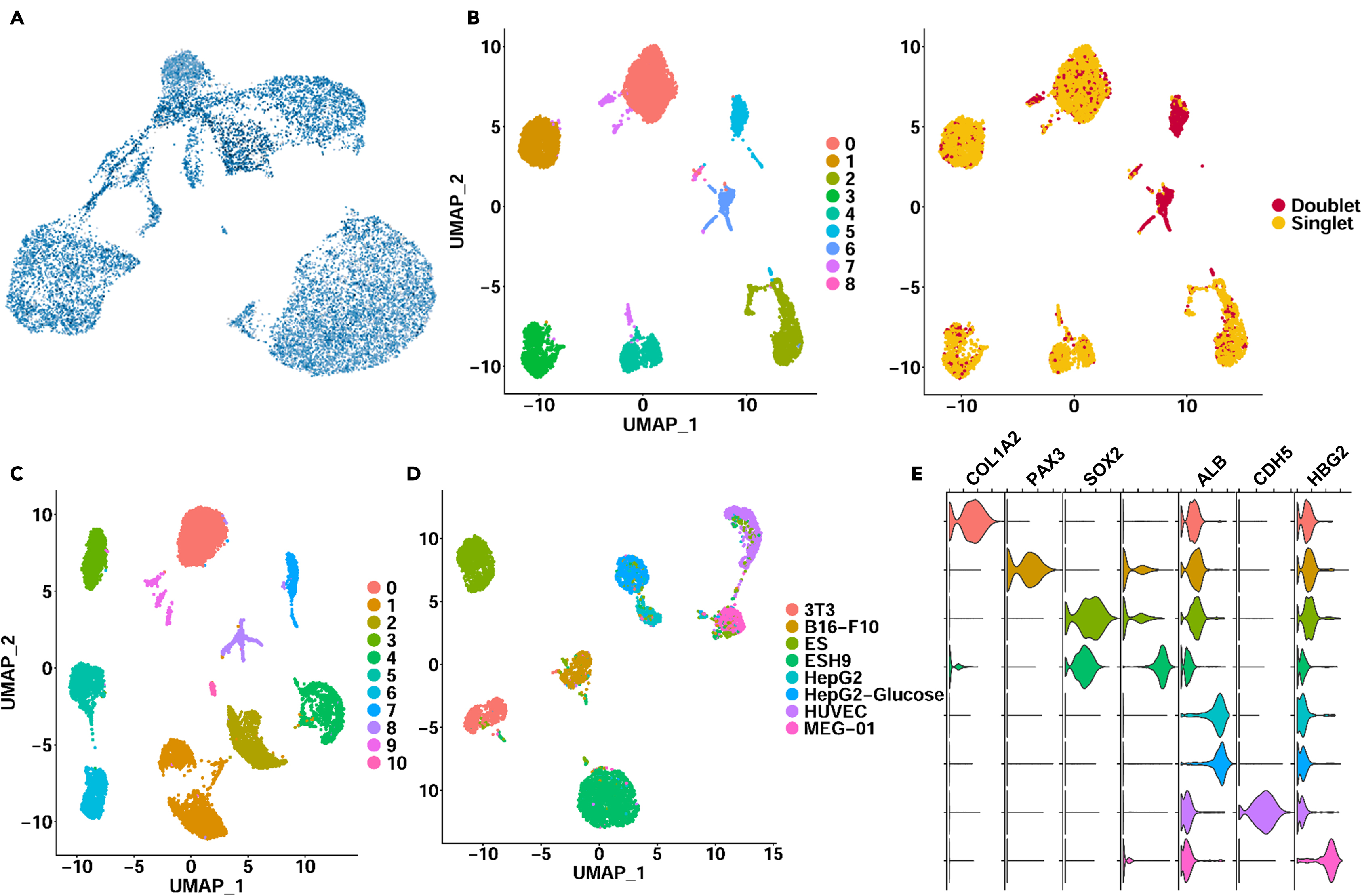 Cell Press: STAR Protocols