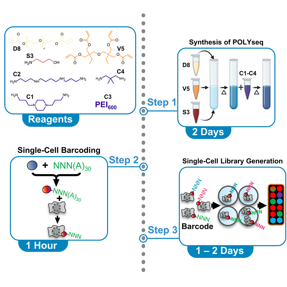 Cell Press: STAR Protocols