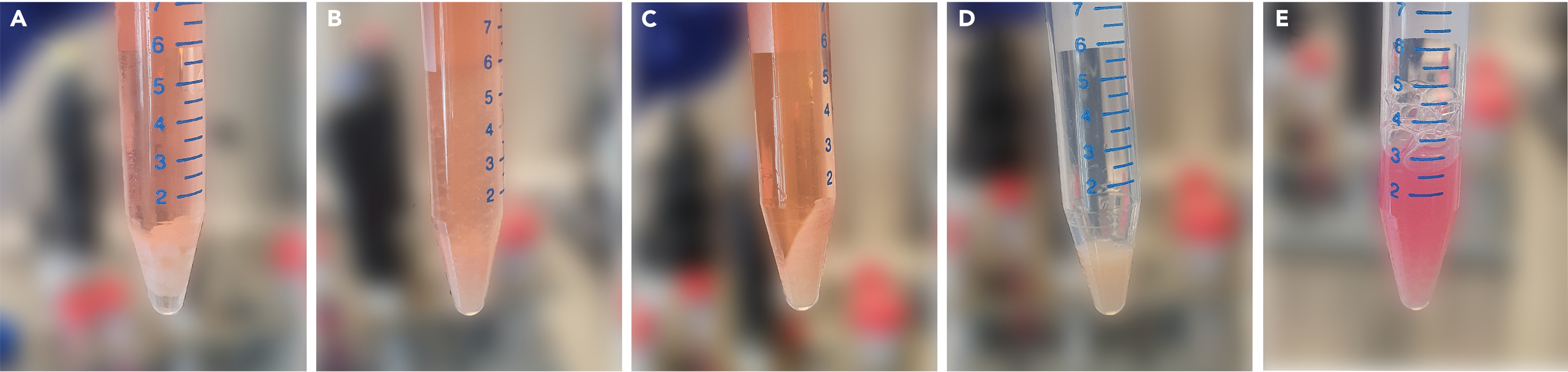 Cell Press: STAR Protocols