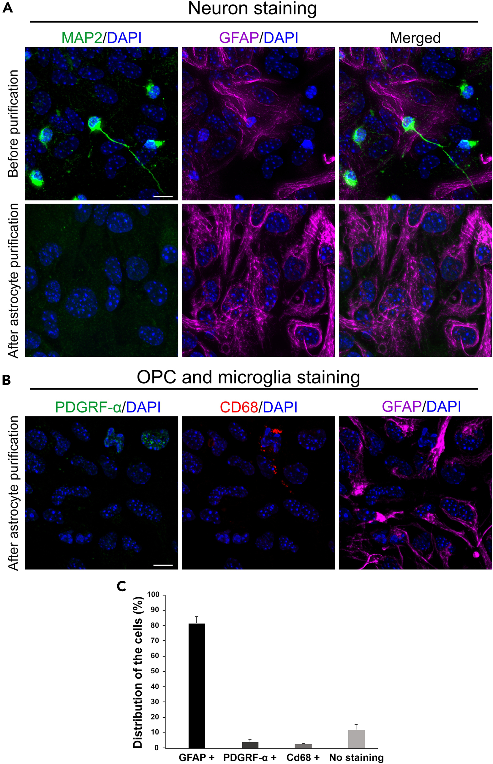 Cell Press: STAR Protocols