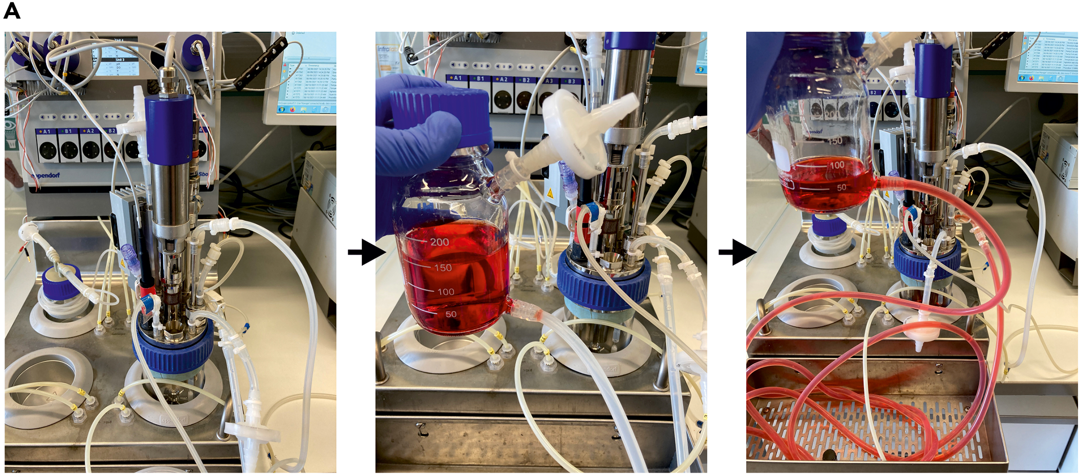 Cell Press: STAR Protocols