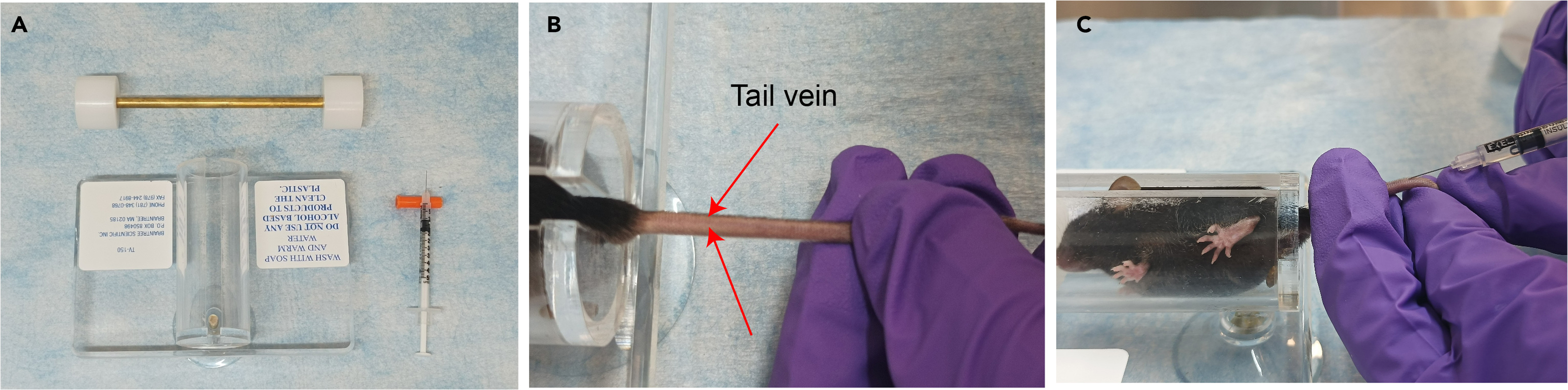 Cell Press: STAR Protocols