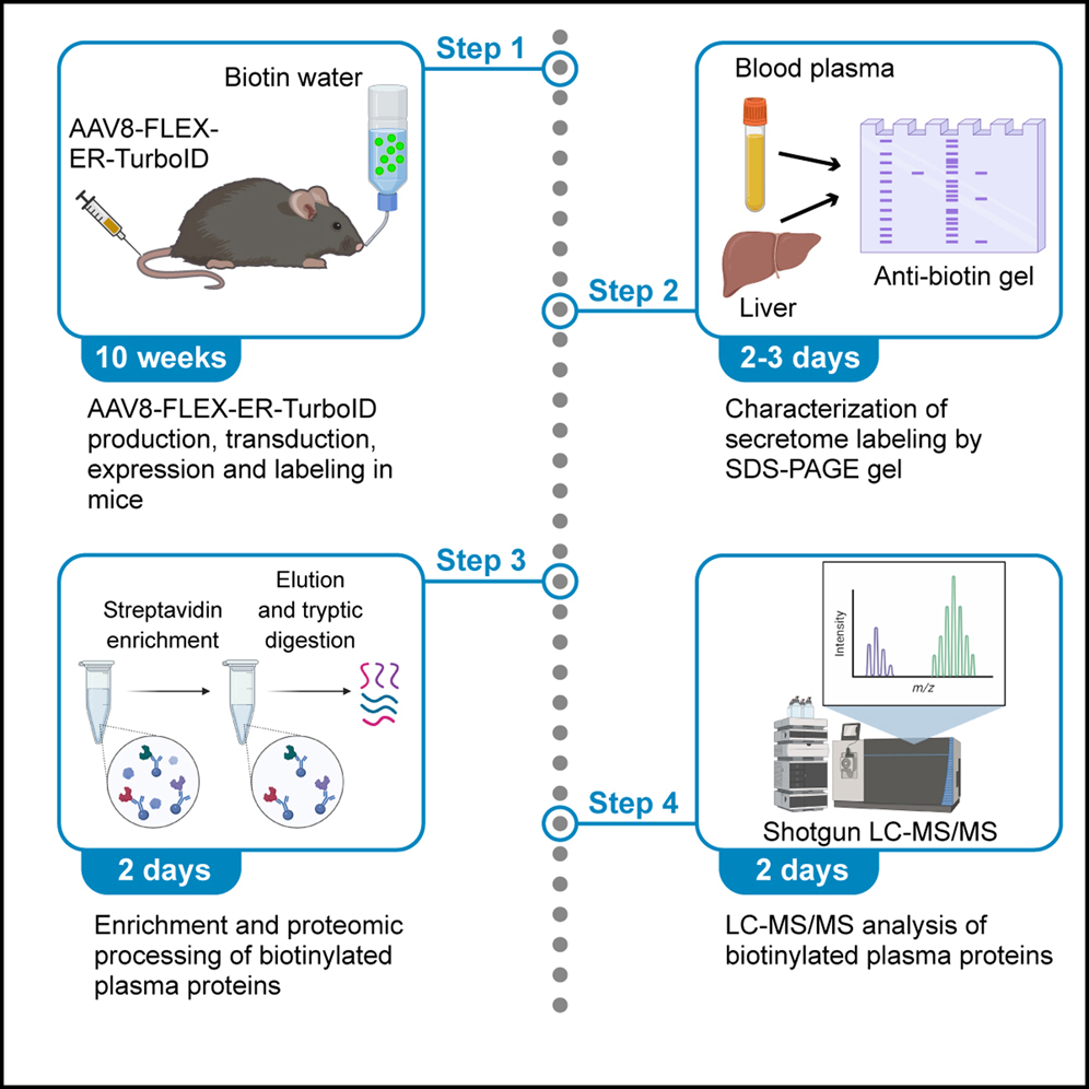 Cell Press: STAR Protocols