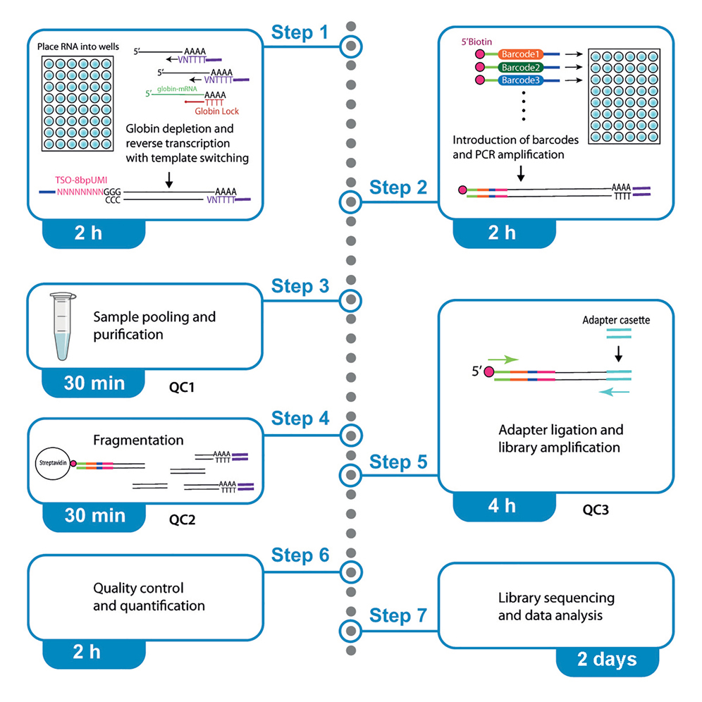 Cell Press: STAR Protocols