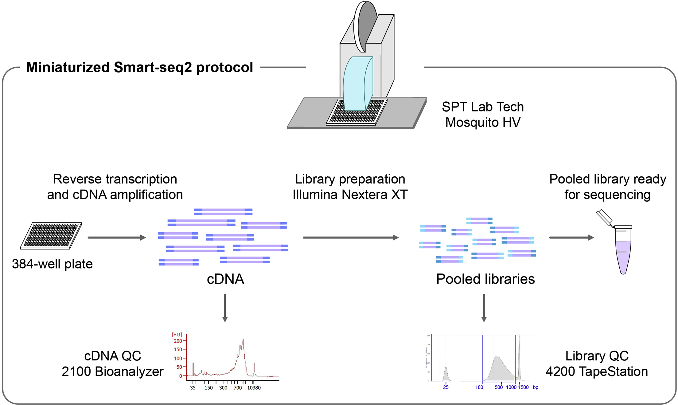 Cell Press: STAR Protocols