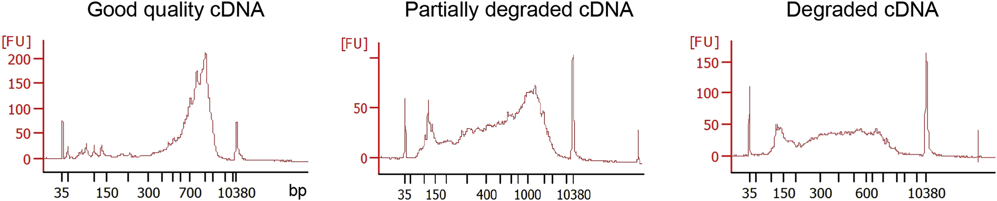 Cell Press: STAR Protocols