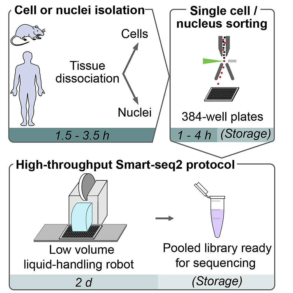 Cell Press: STAR Protocols
