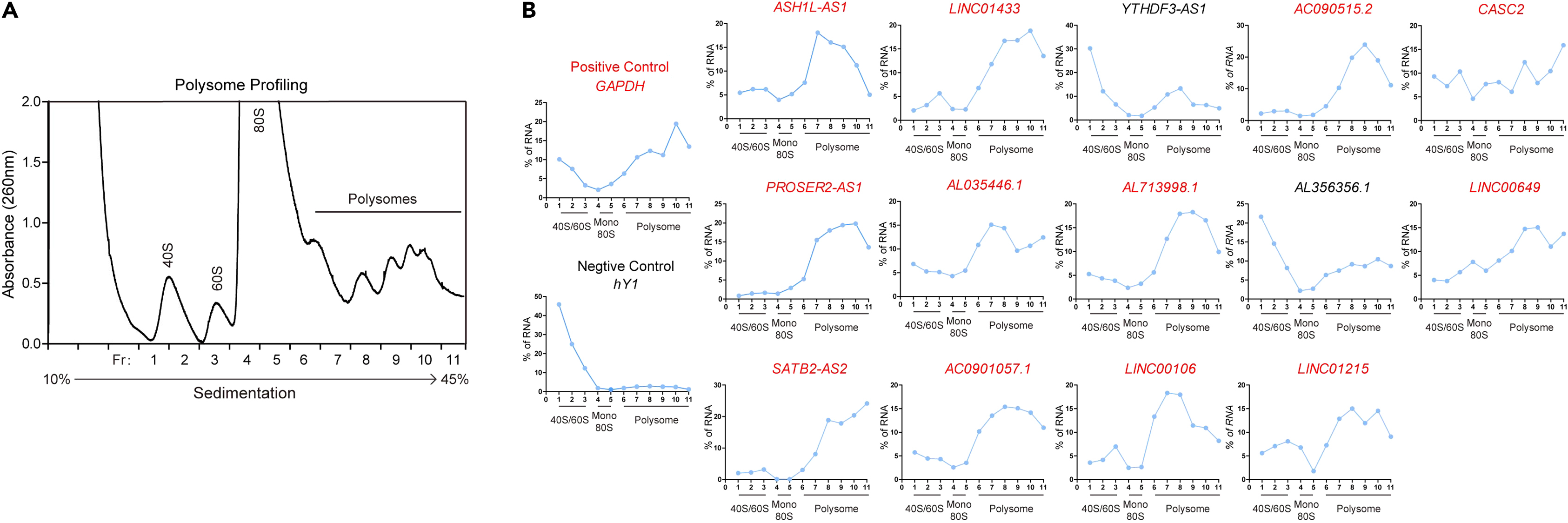 Cell Press: STAR Protocols