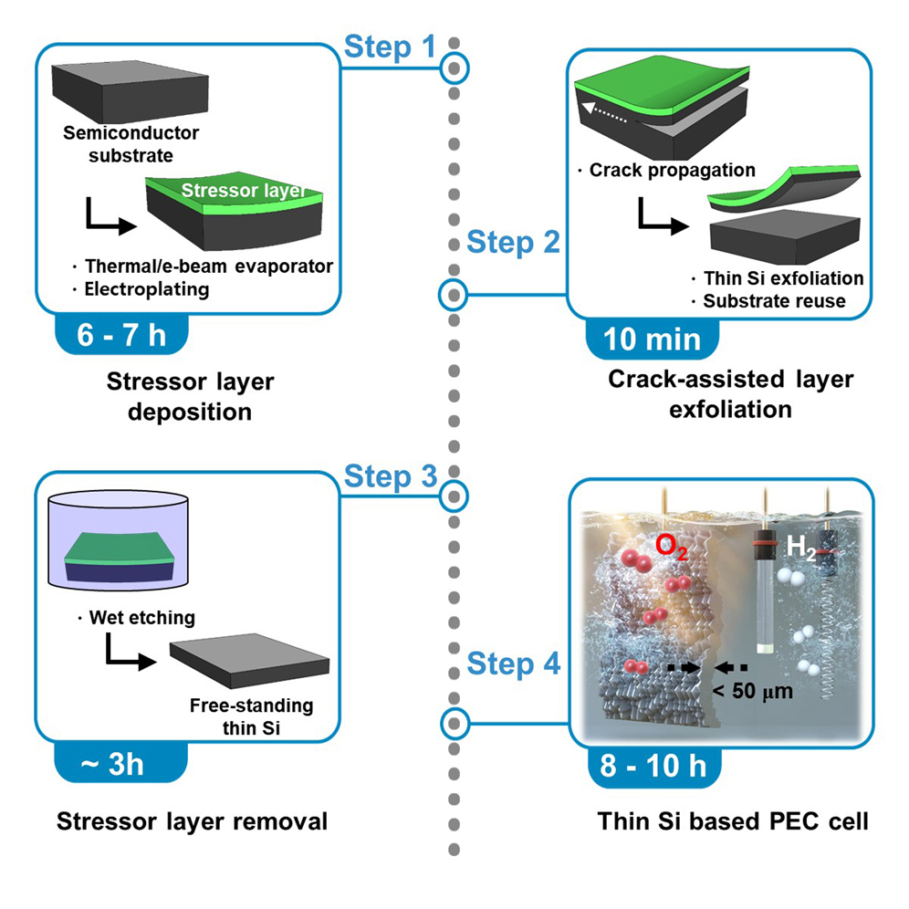Cell Press: STAR Protocols