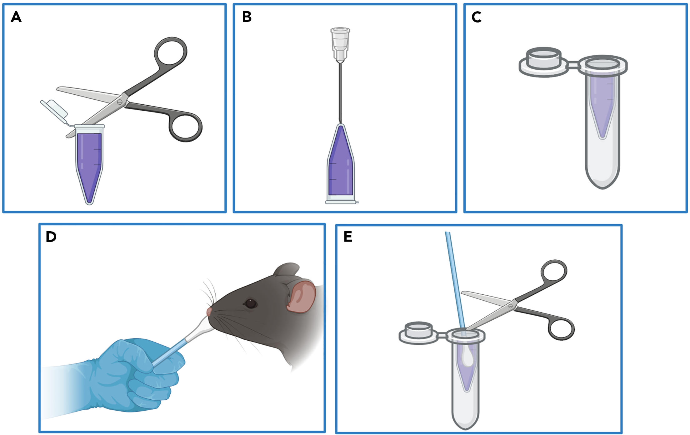 Cell Press: STAR Protocols