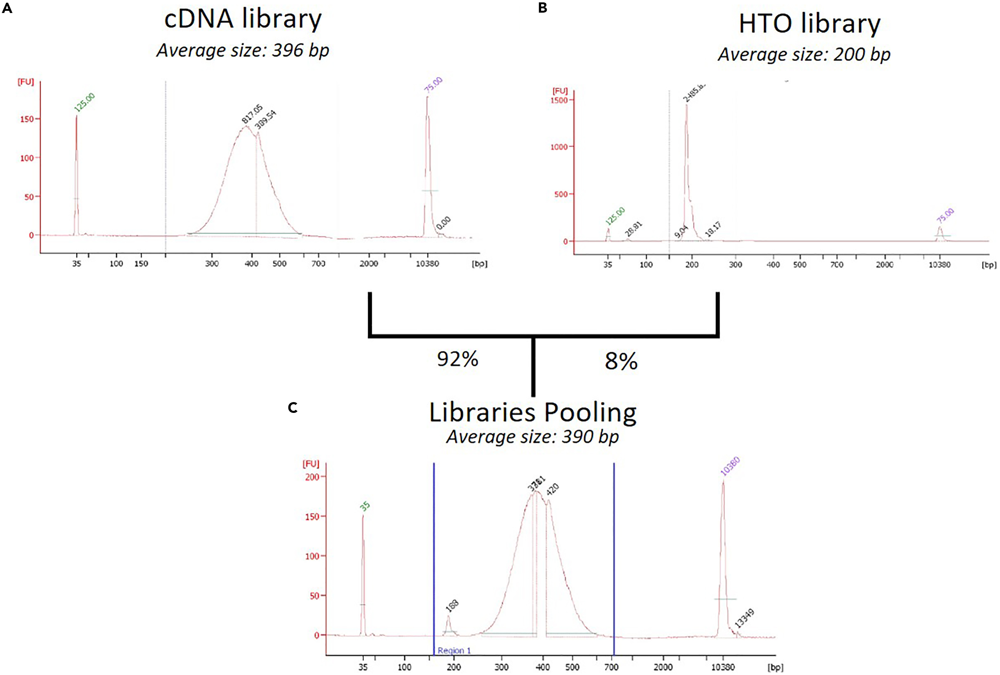 Cell Press: STAR Protocols