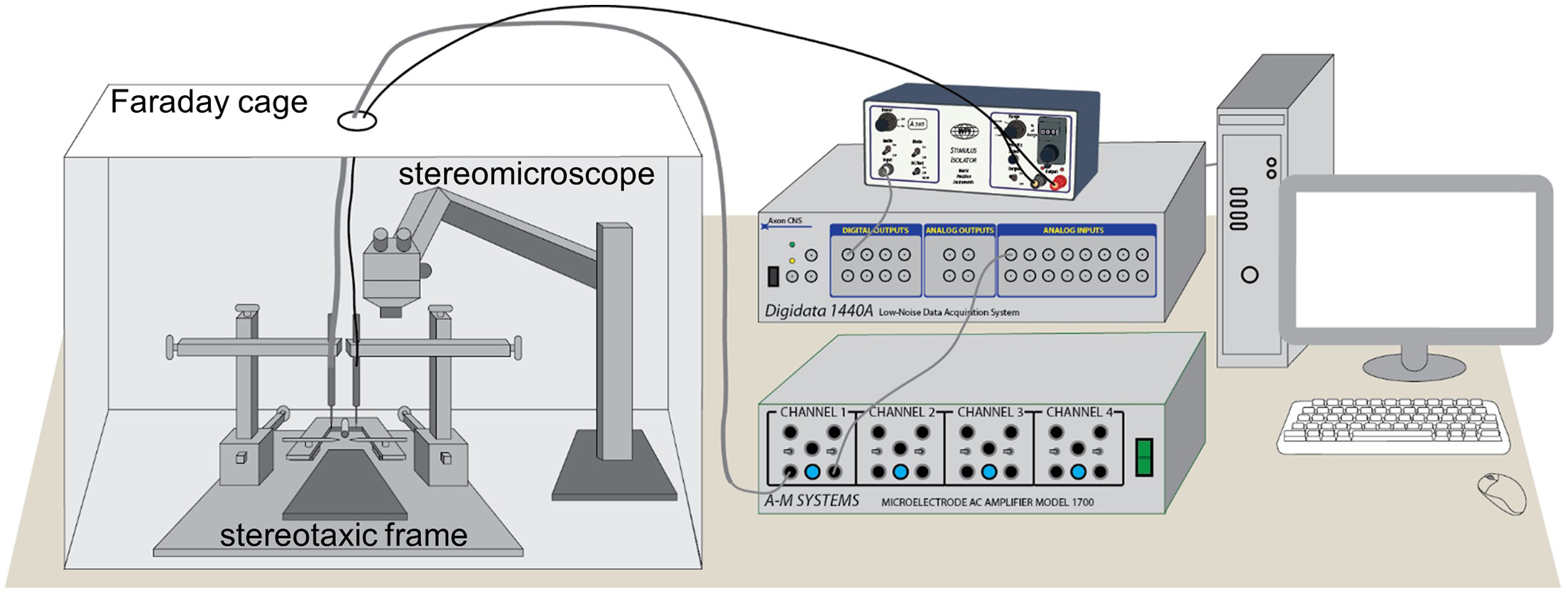Cell Press: STAR Protocols
