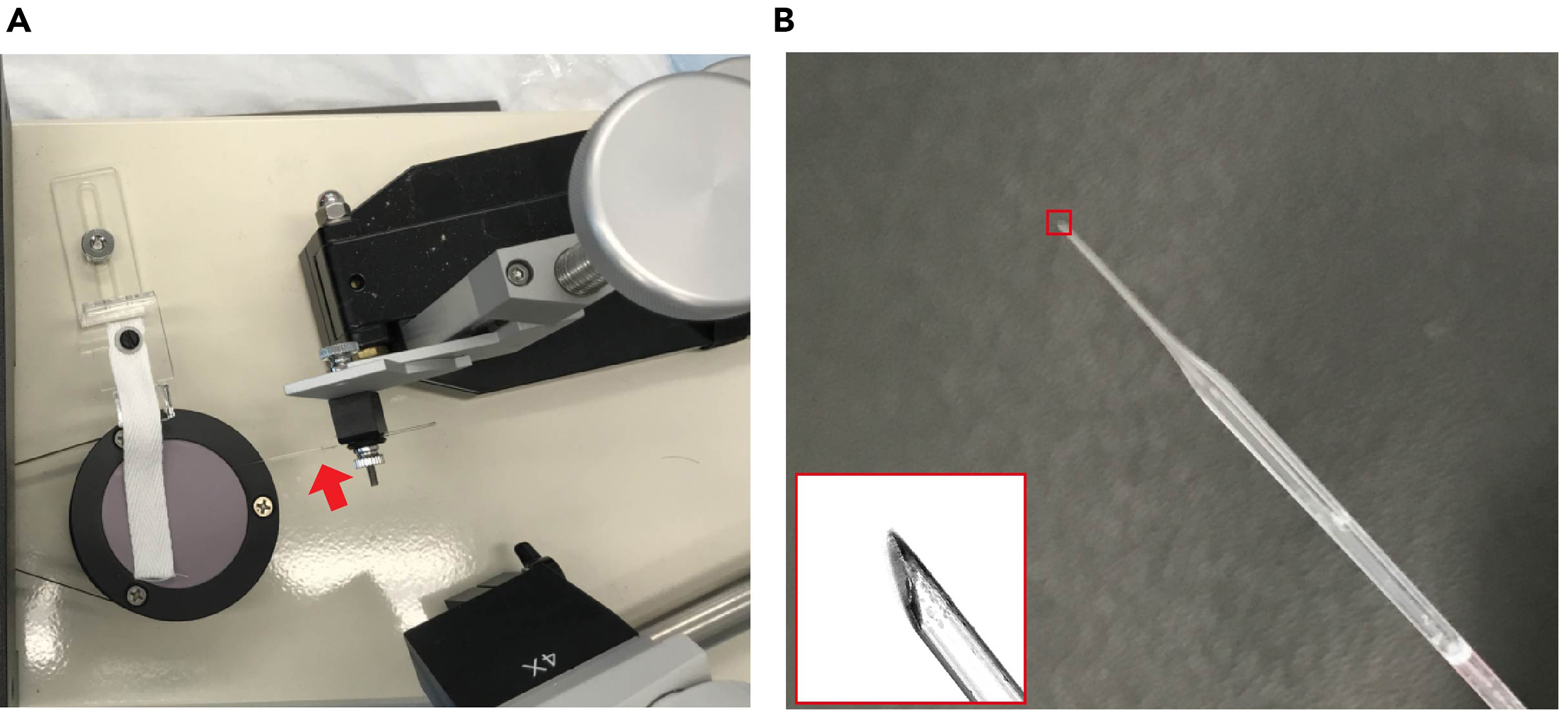 Cell Press: STAR Protocols