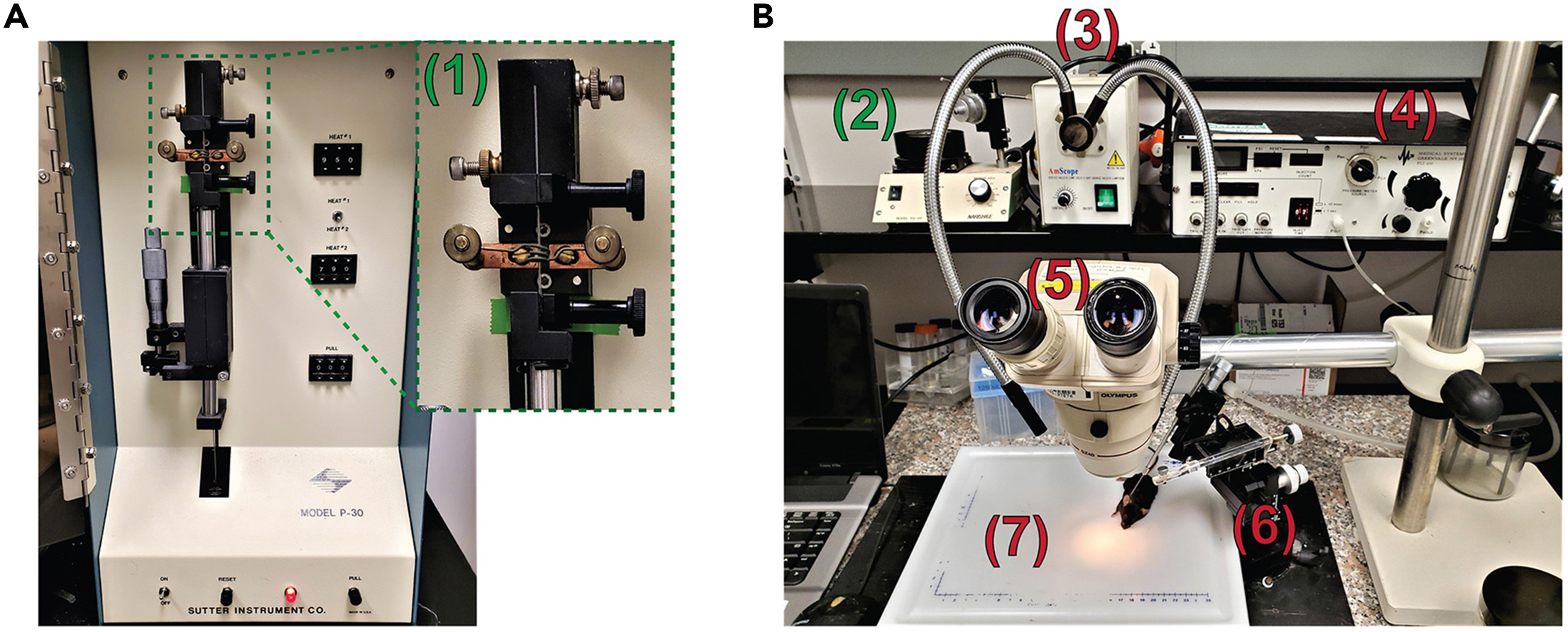 Cell Press: STAR Protocols