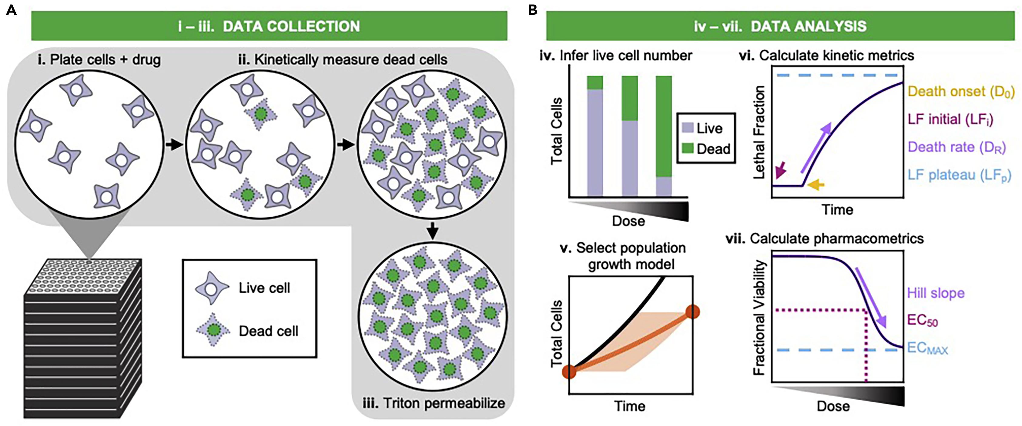Cell Press: STAR Protocols