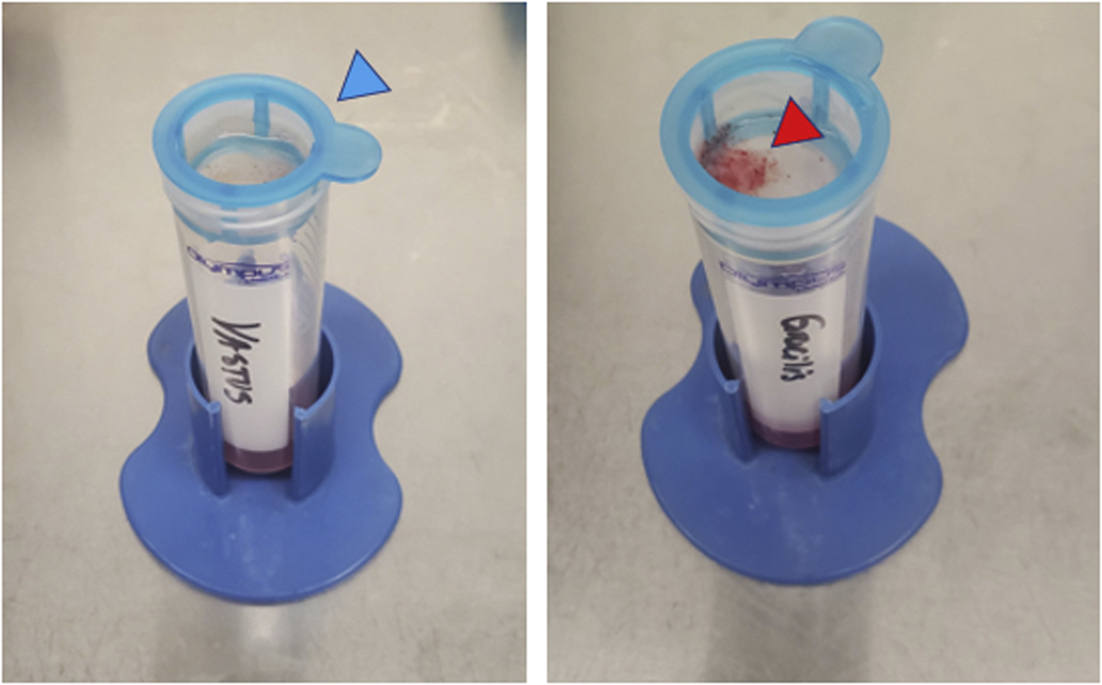 Cell Press: STAR Protocols