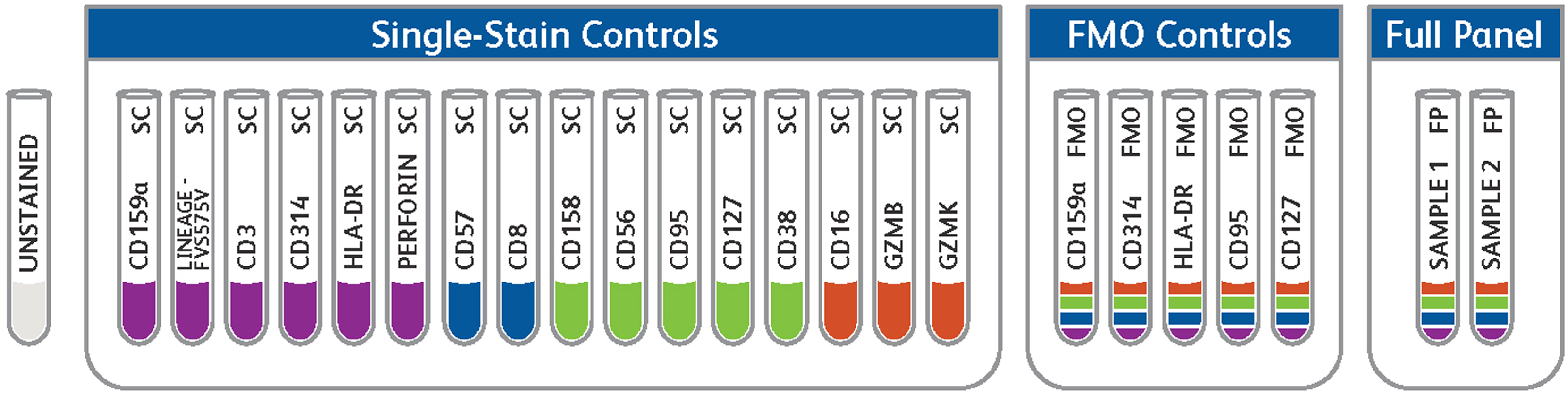Cell Press: STAR Protocols