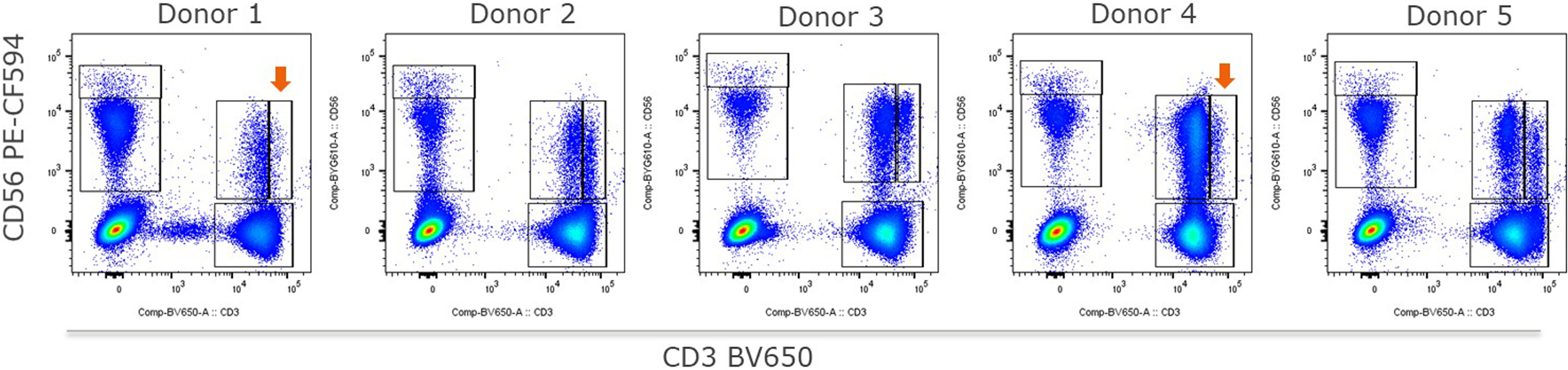 Cell Press: STAR Protocols