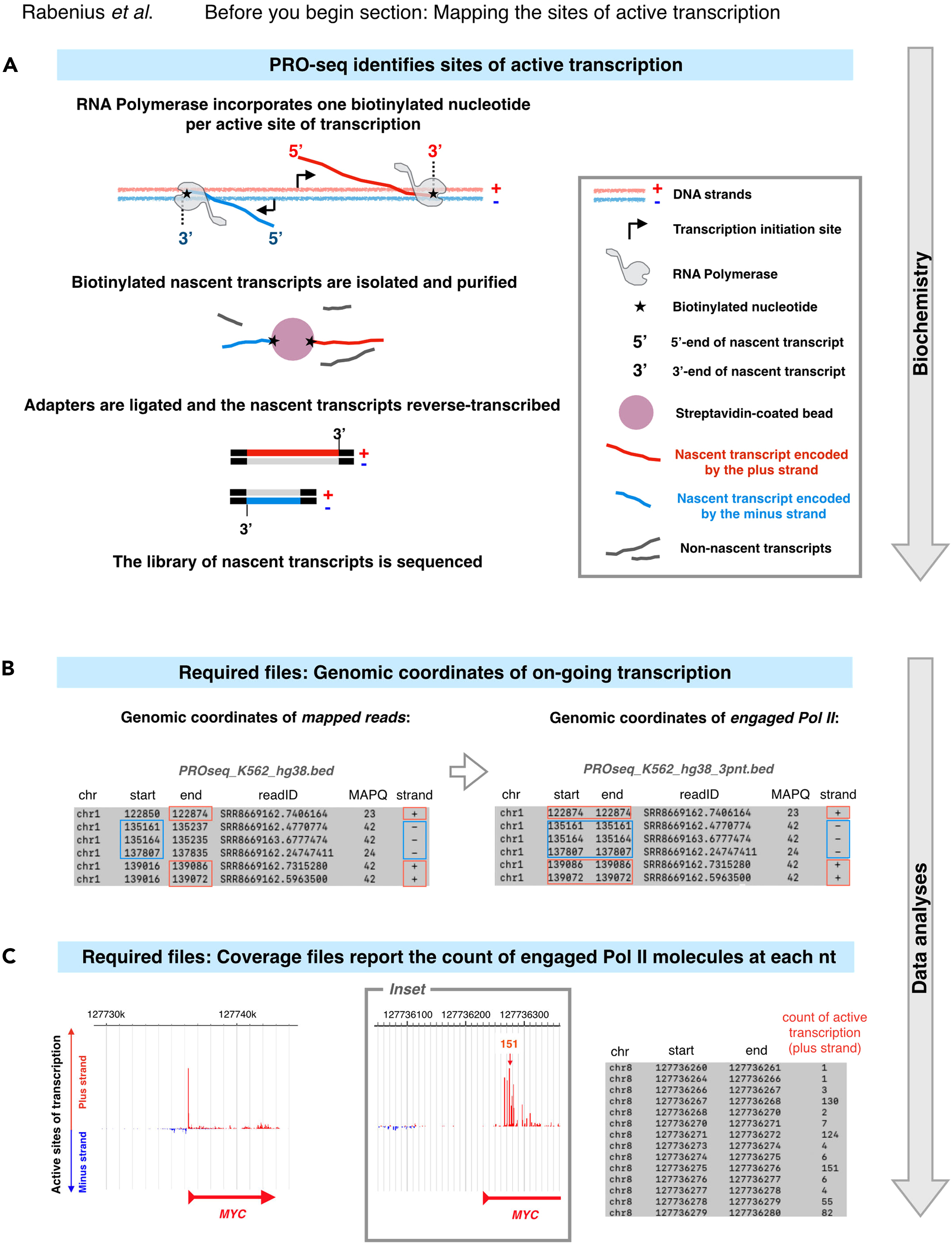 Cell Press: STAR Protocols