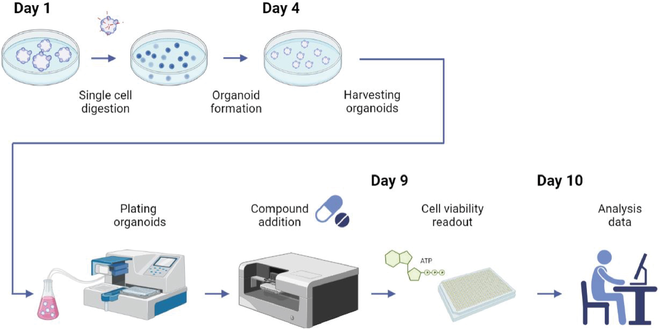 Cell Press: STAR Protocols
