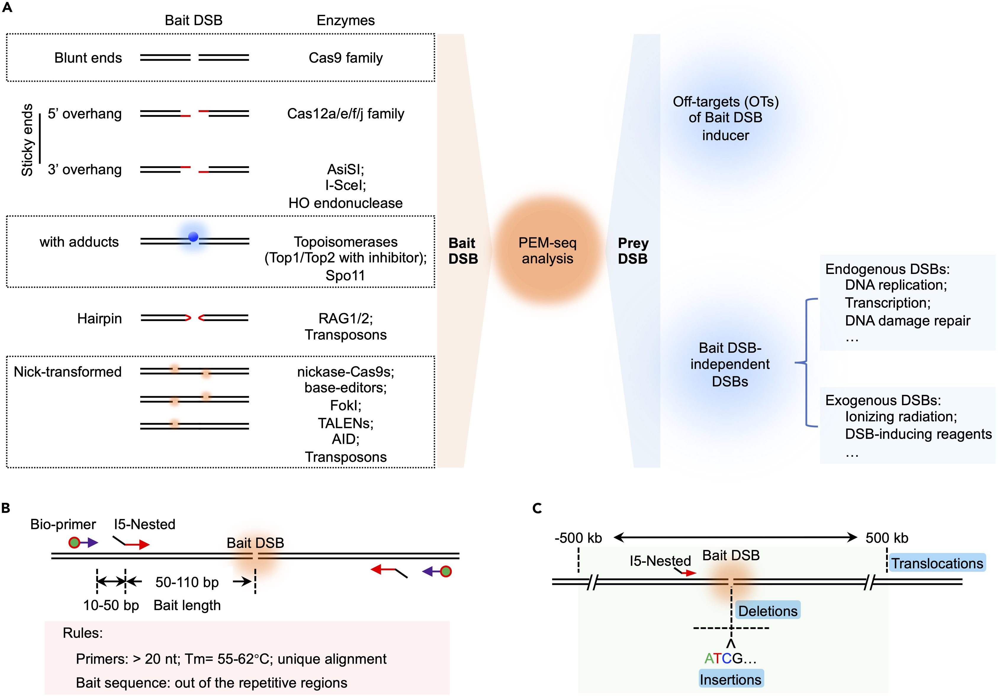 Cell Press: STAR Protocols