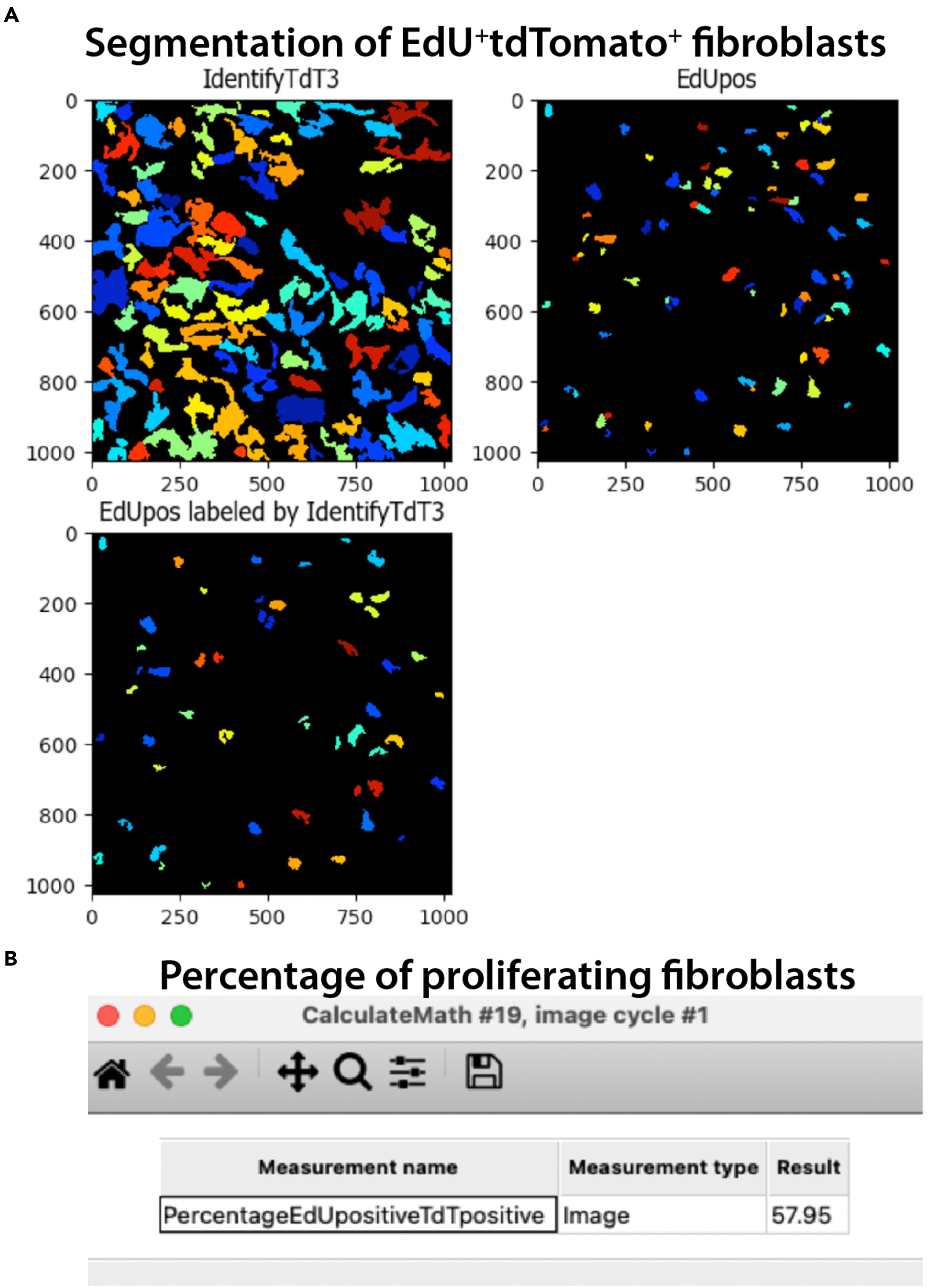 Cell Press: STAR Protocols