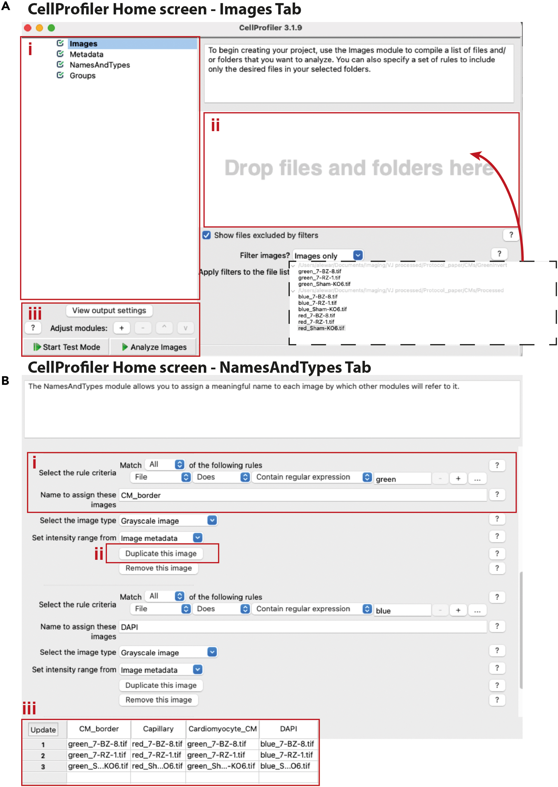 Cell Press: STAR Protocols