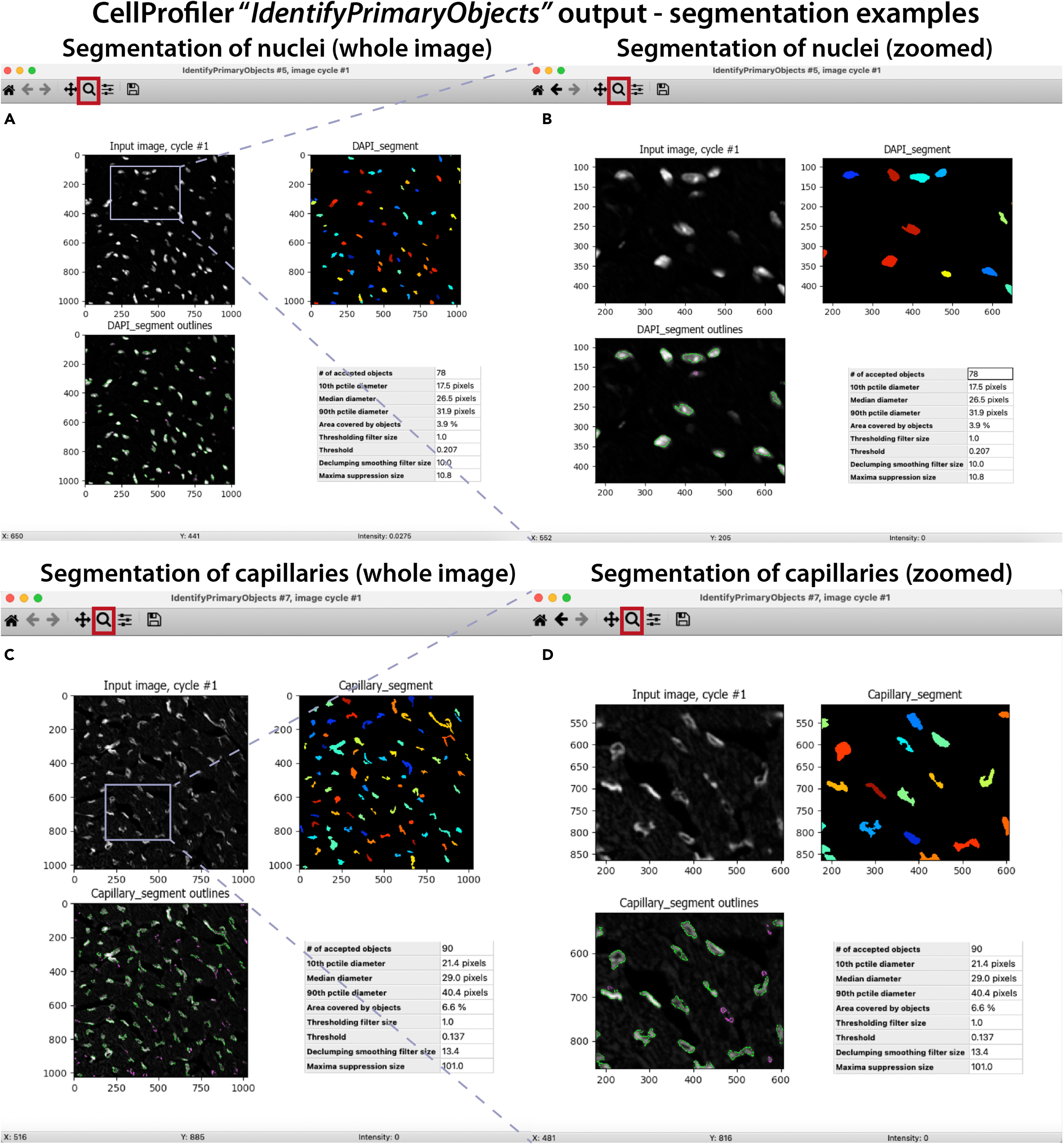 Cell Press: STAR Protocols