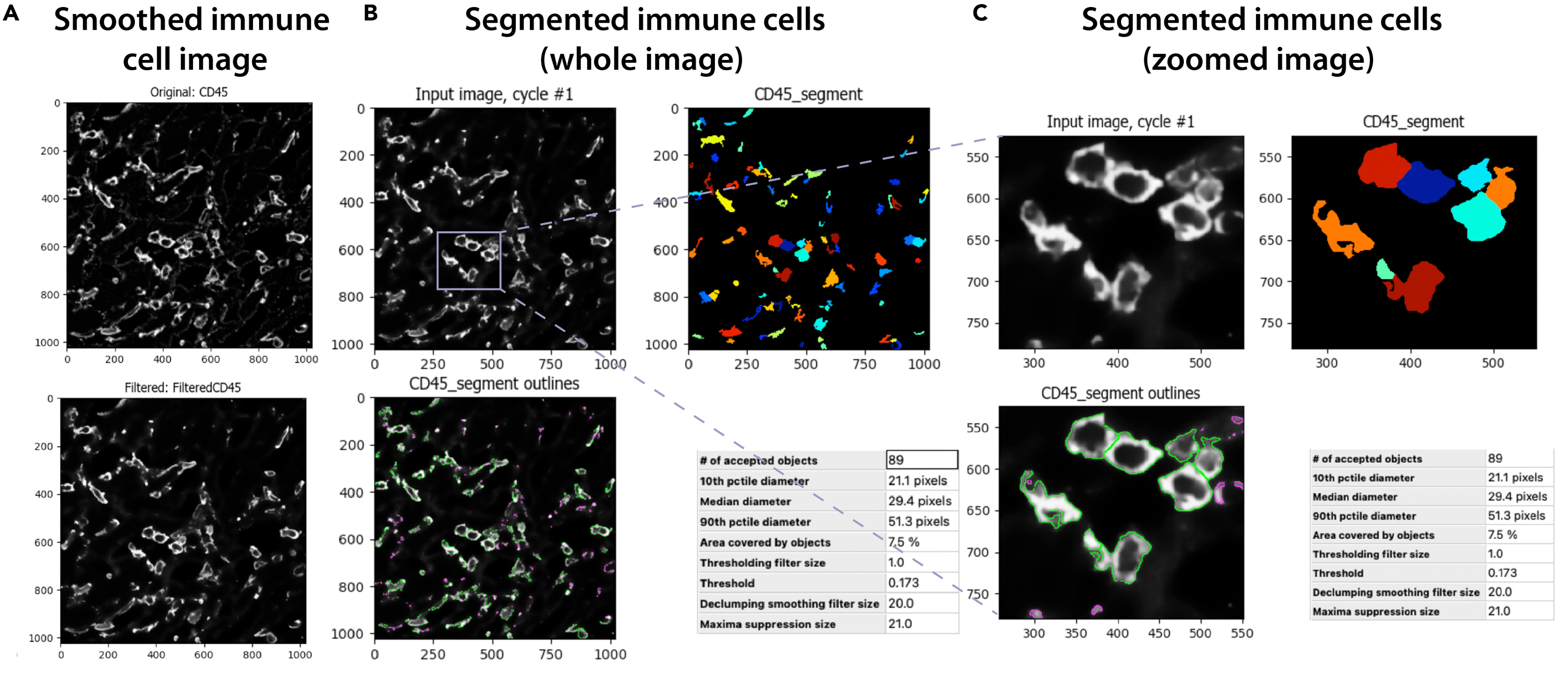 Cell Press: STAR Protocols