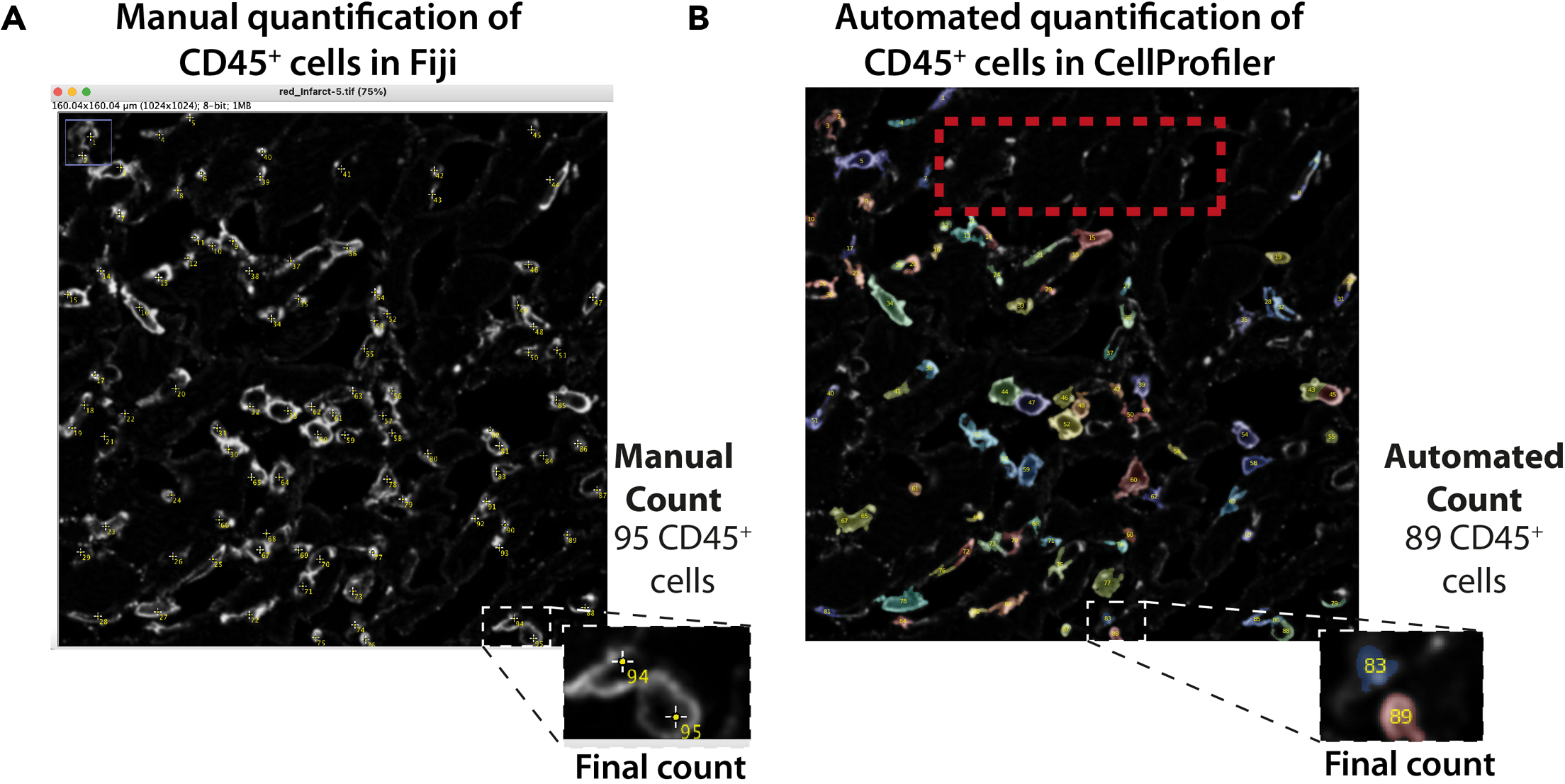 Cell Press: STAR Protocols