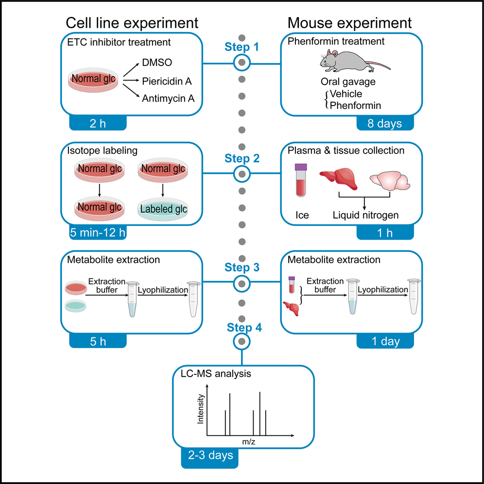 Cell Press: STAR Protocols