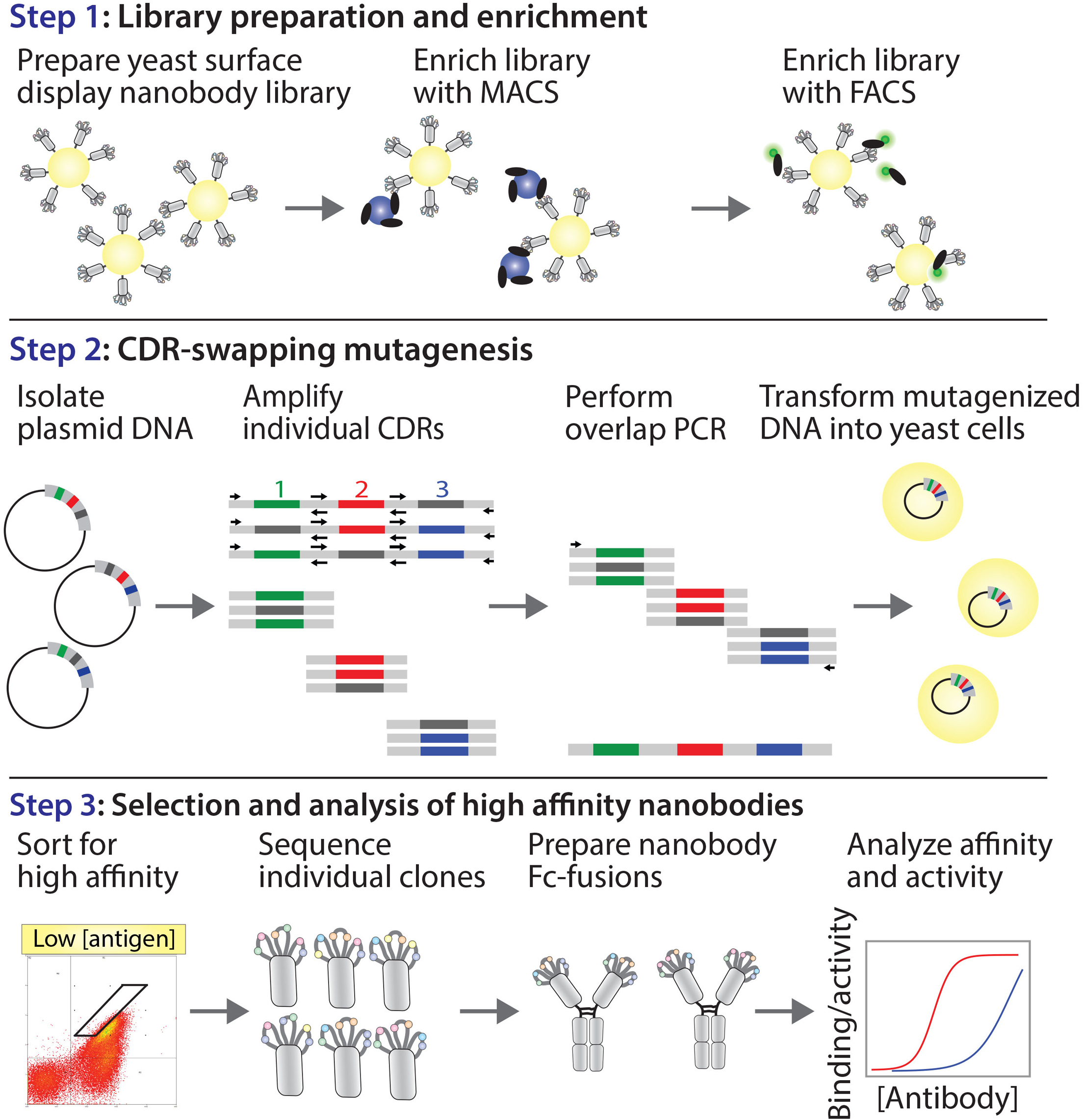 Cell Press: STAR Protocols