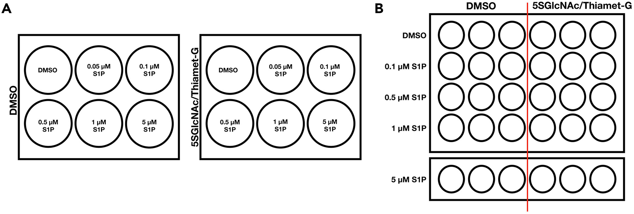 Cell Press: STAR Protocols
