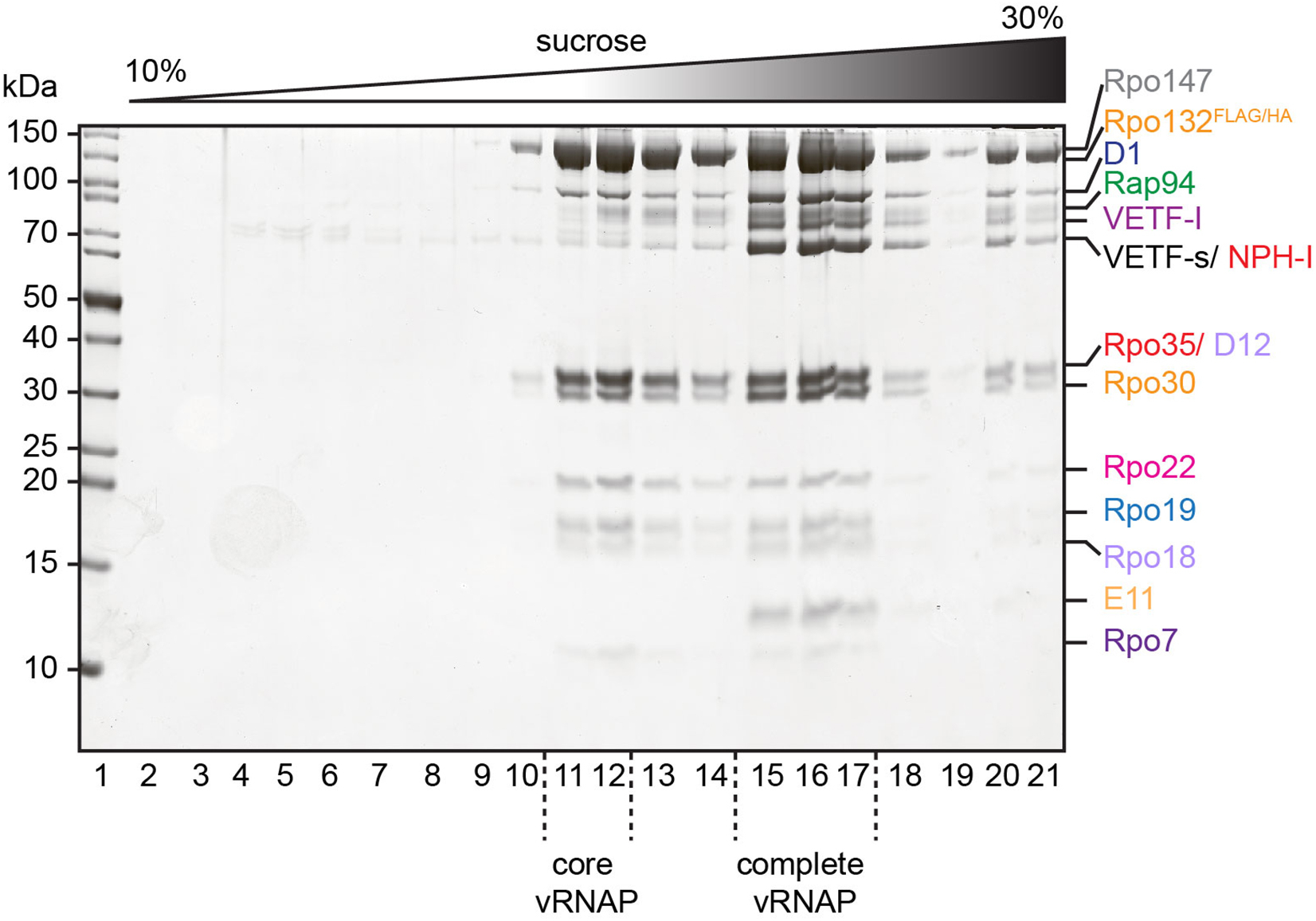 Cell Press: STAR Protocols