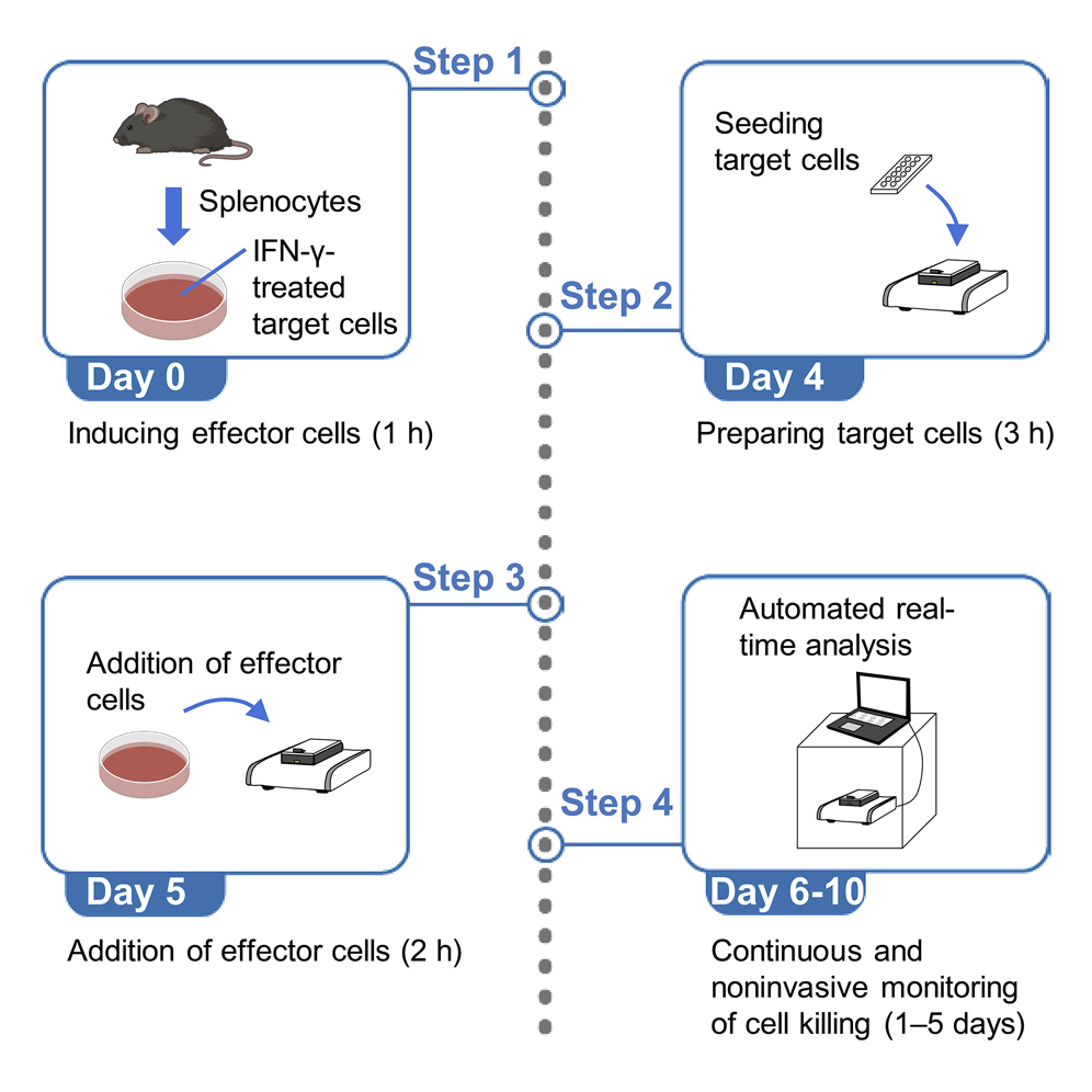 Cell Press: STAR Protocols