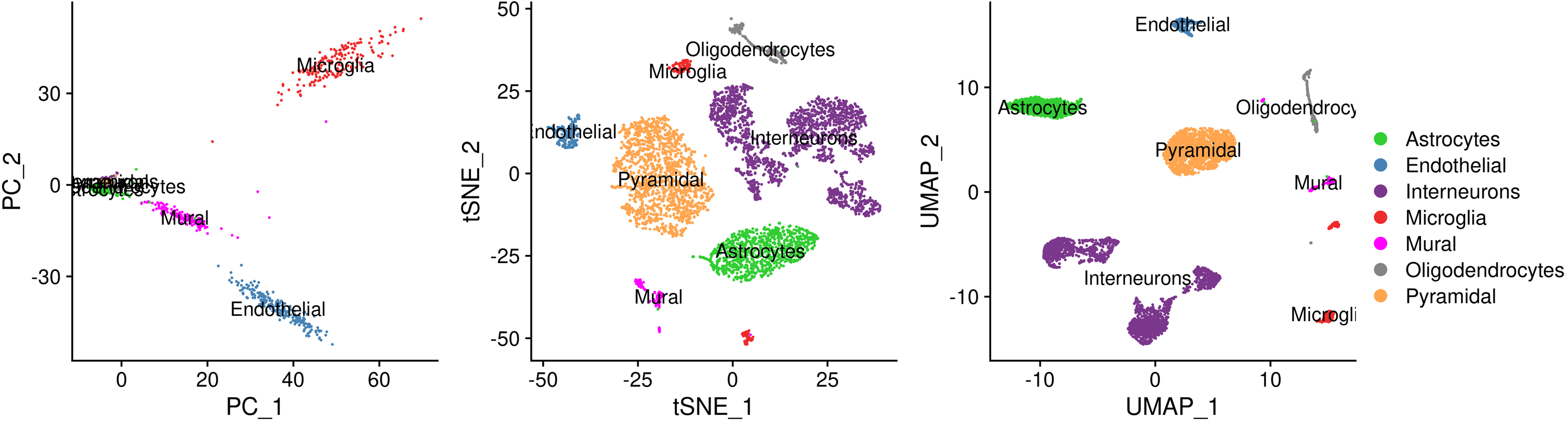 Cell Press: STAR Protocols