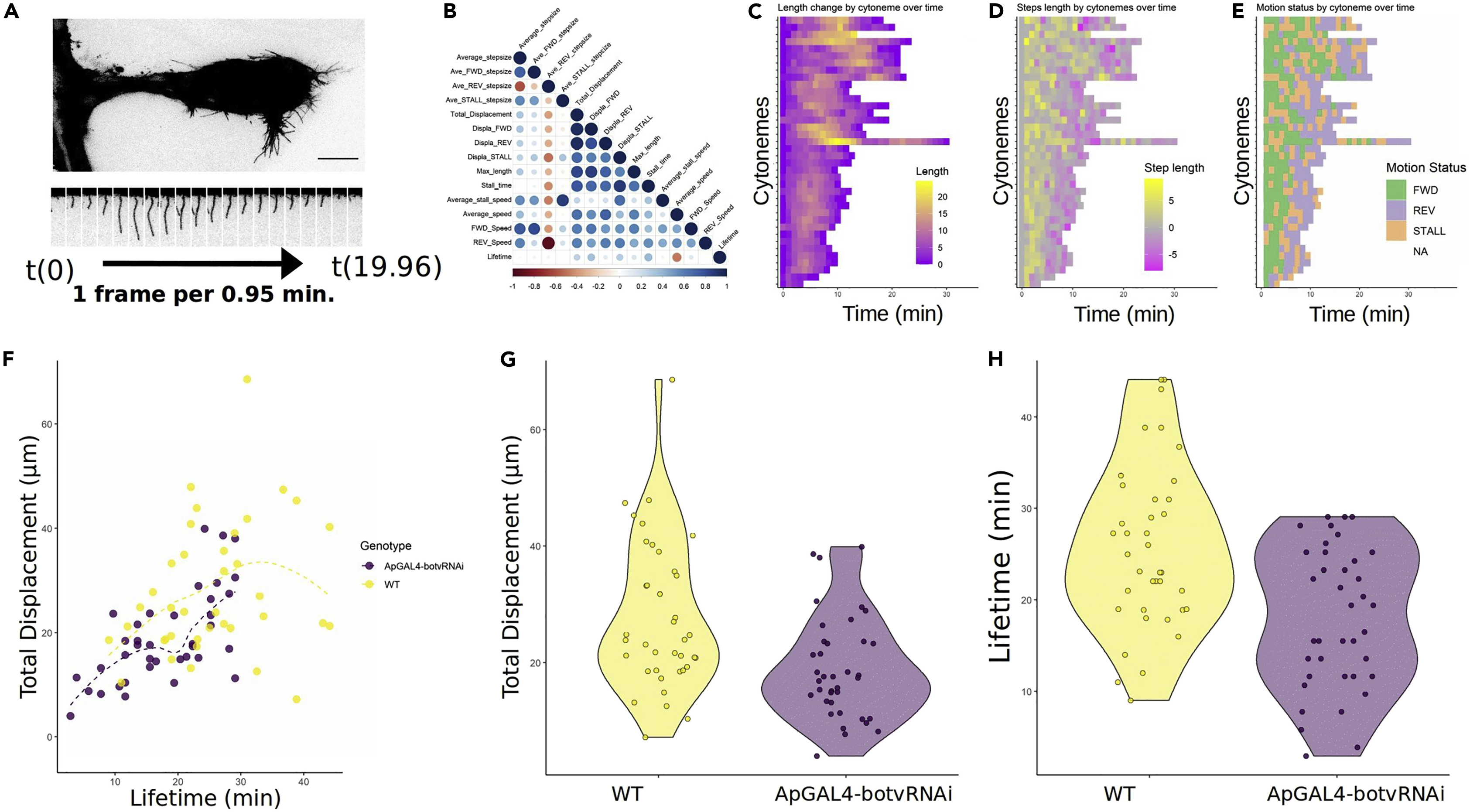 Cell Press: STAR Protocols