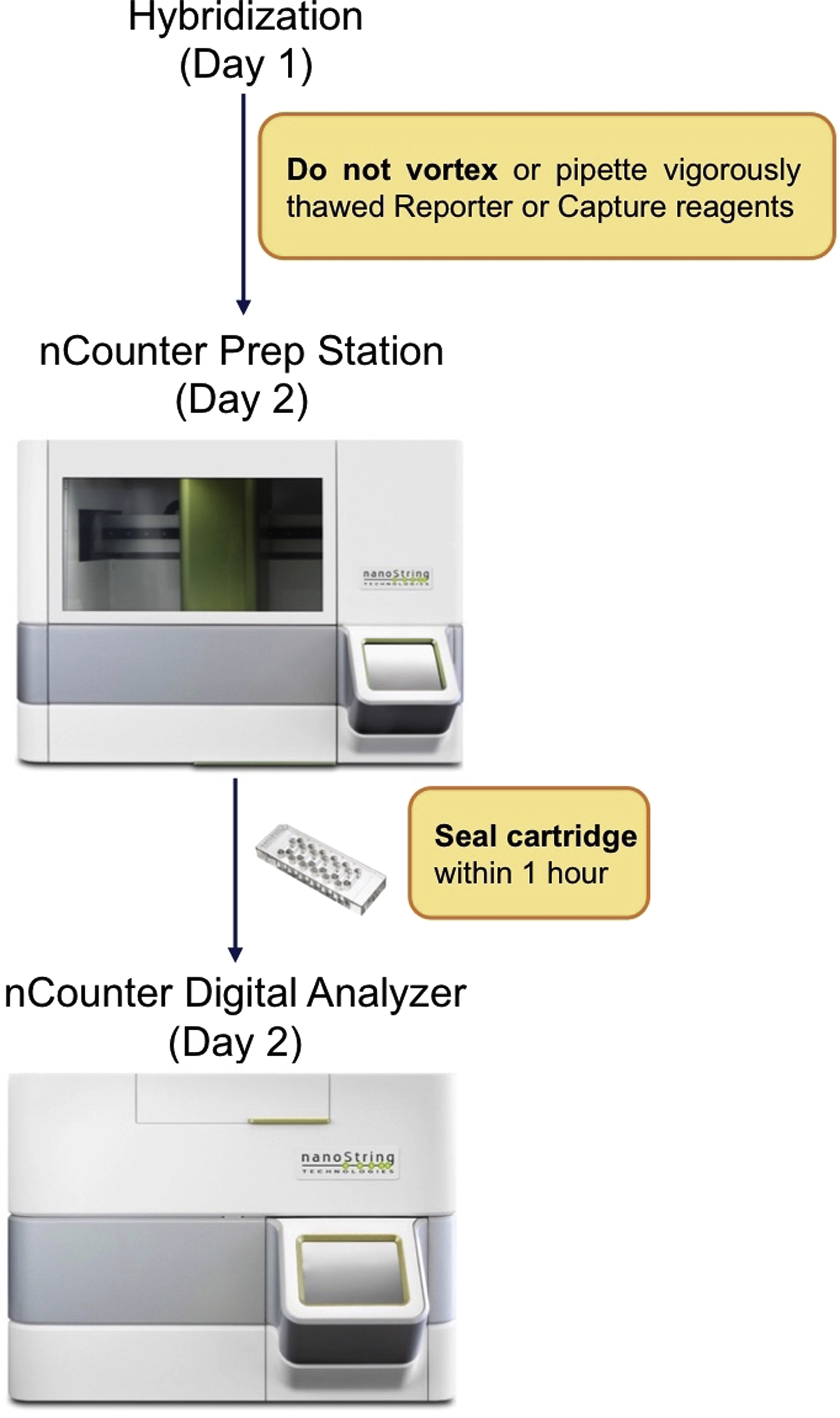 Cell Press: STAR Protocols