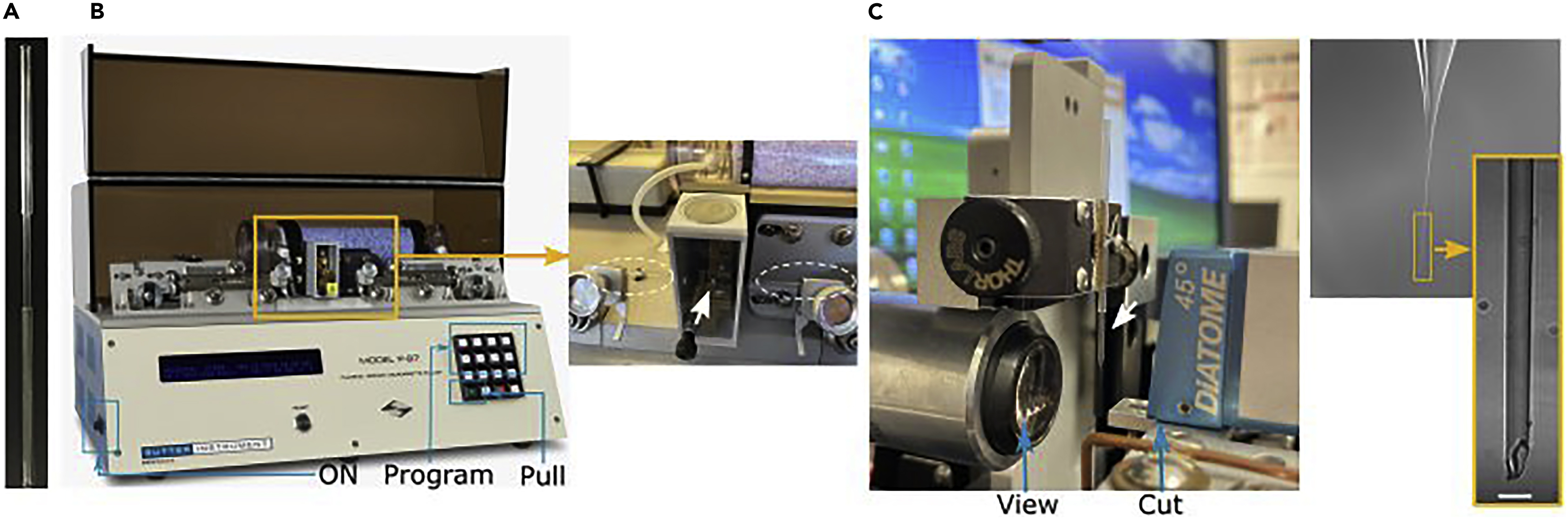 Cell Press: STAR Protocols