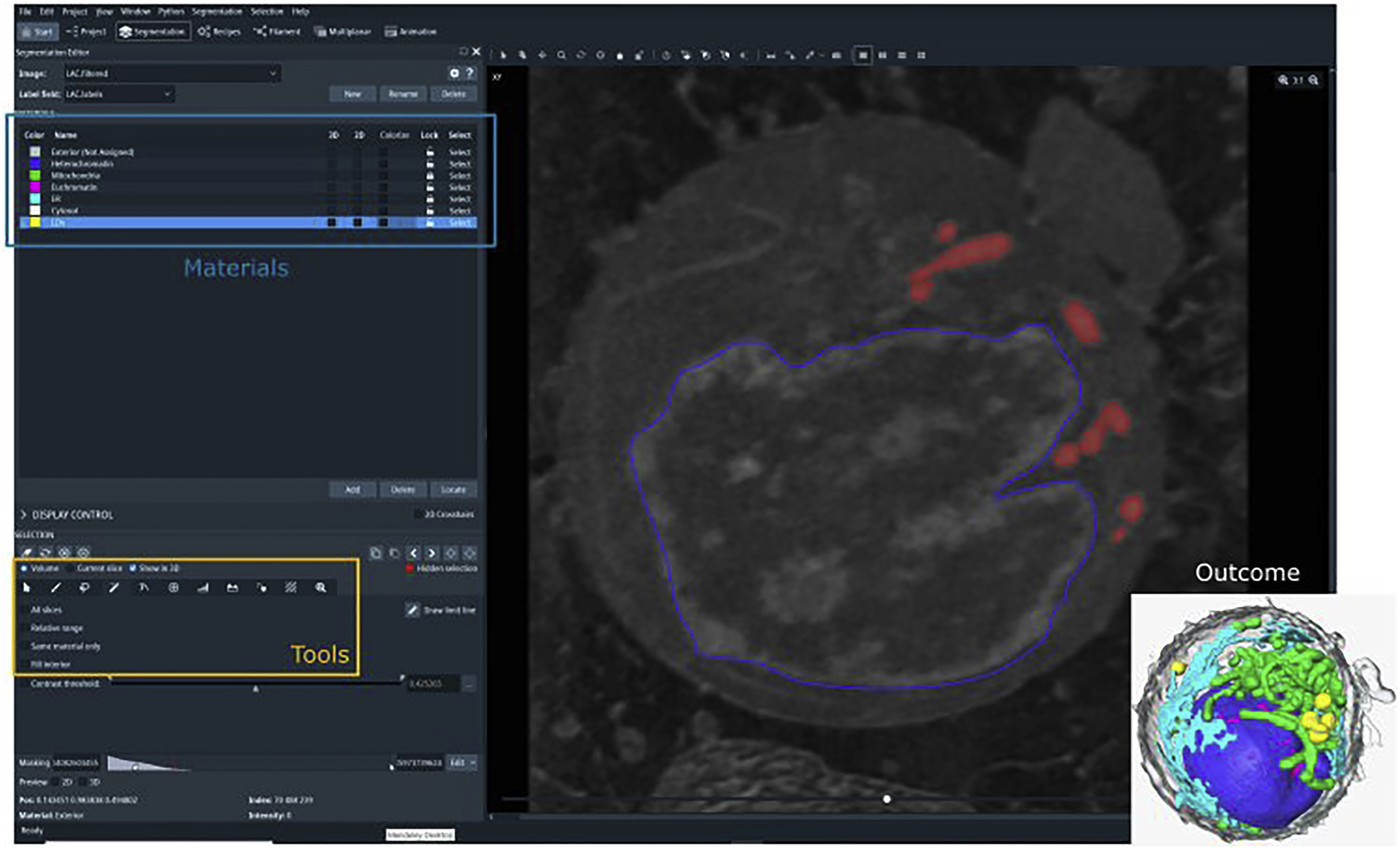 Cell Press: STAR Protocols