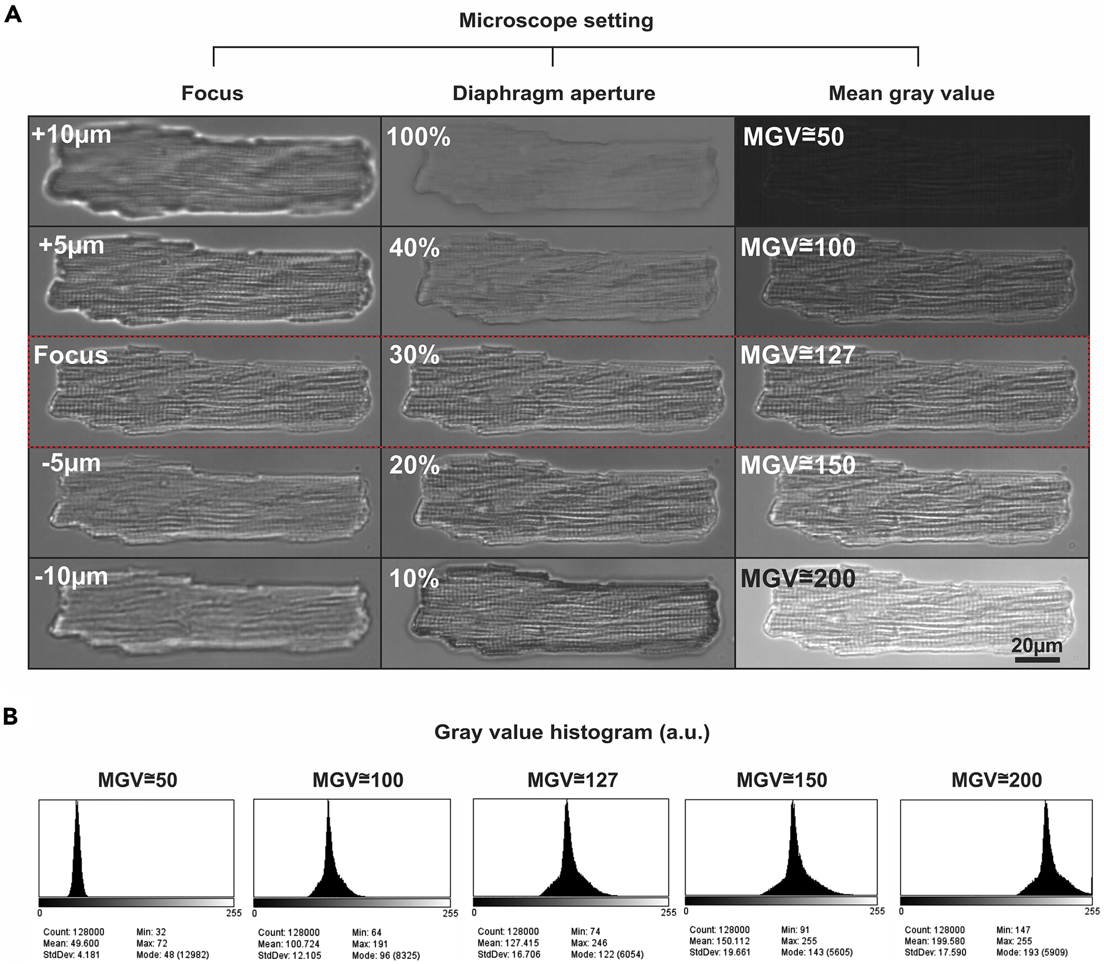 Cell Press: STAR Protocols