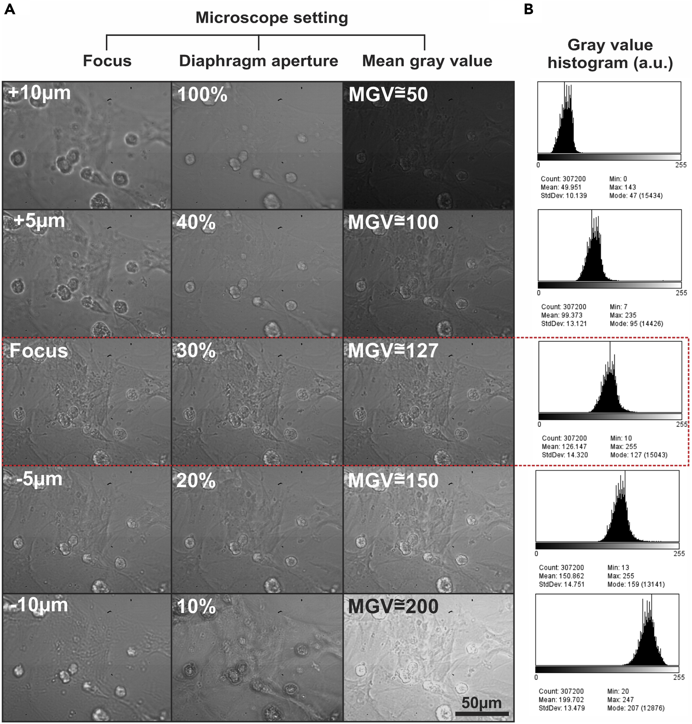 Cell Press: STAR Protocols